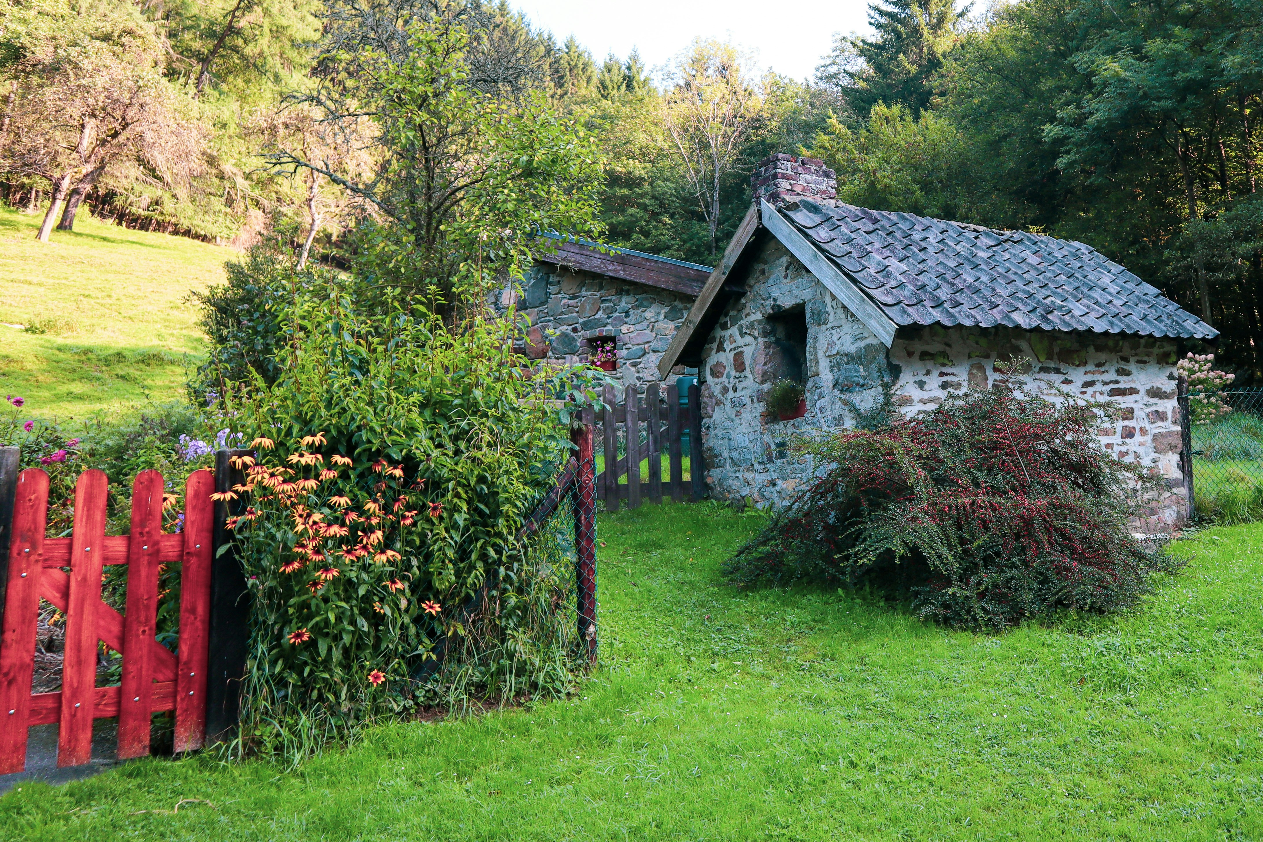 A small house in a yard photo – Free Simplecity Image on Unsplash