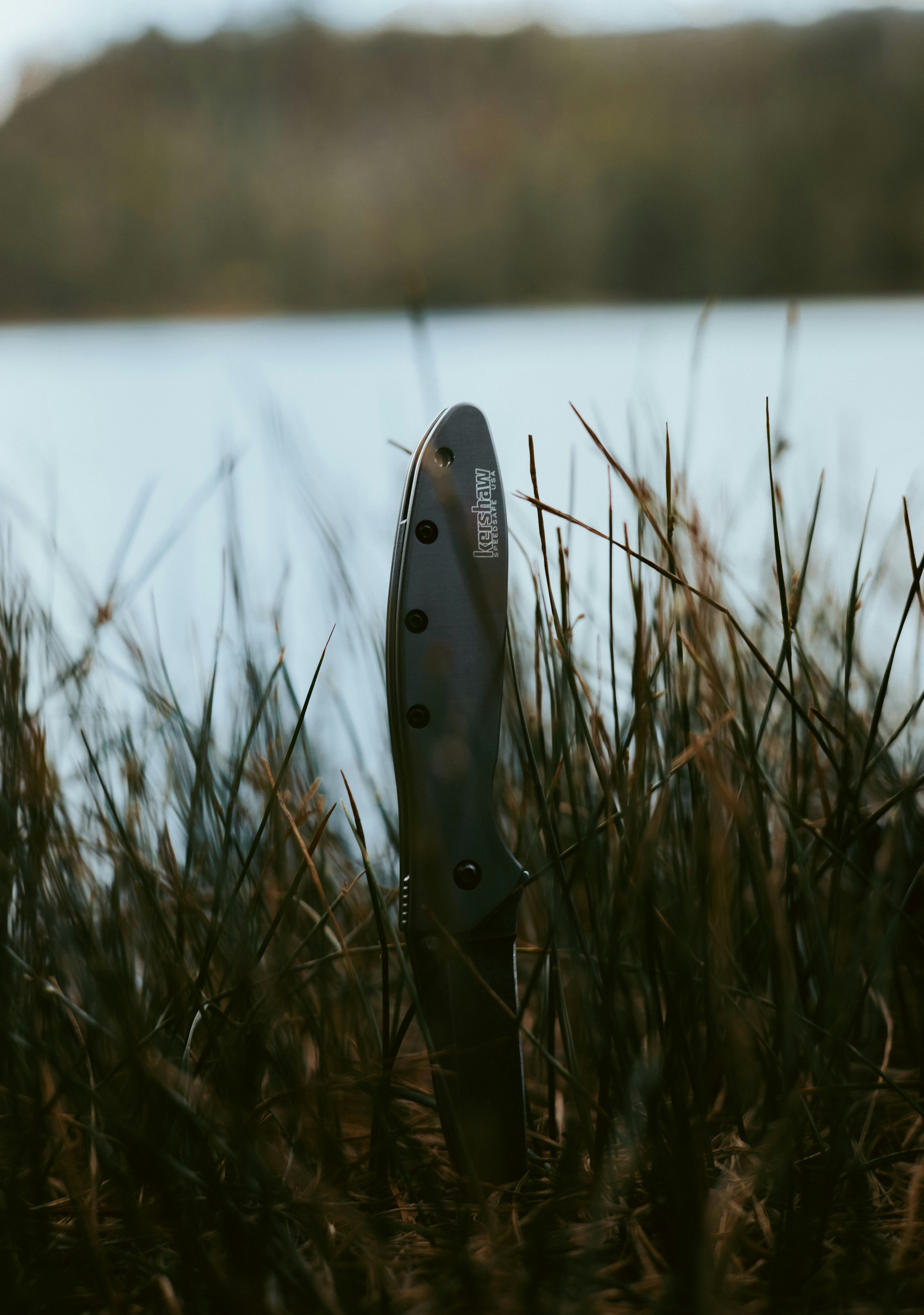 Kershaw Among the Reeds: A Quiet Lakefront Secret