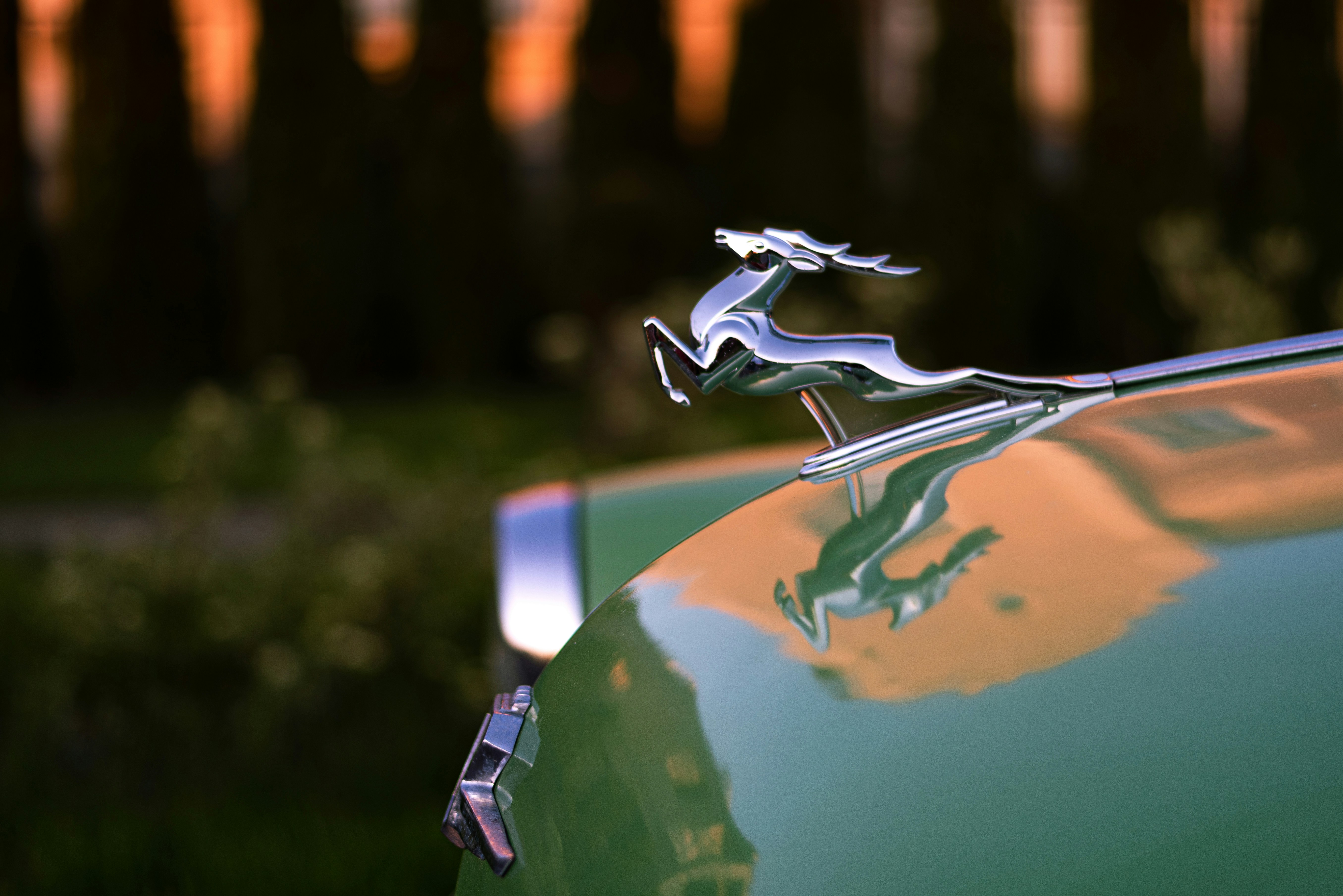 Hood Ornament in Soft Evening Light