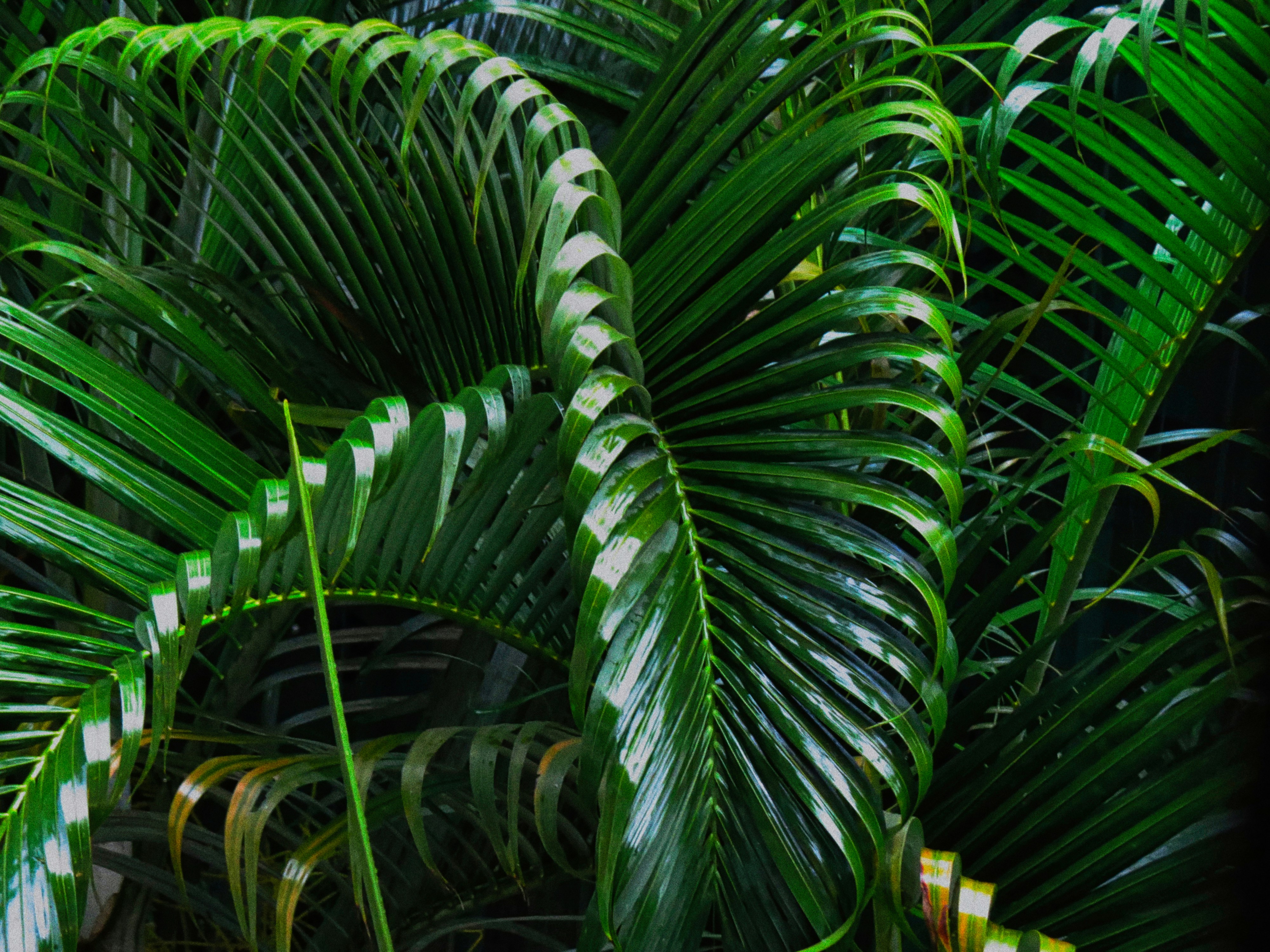 Maria Melnyk (@maria_melnyk) | Unsplashフォトコミュニティ