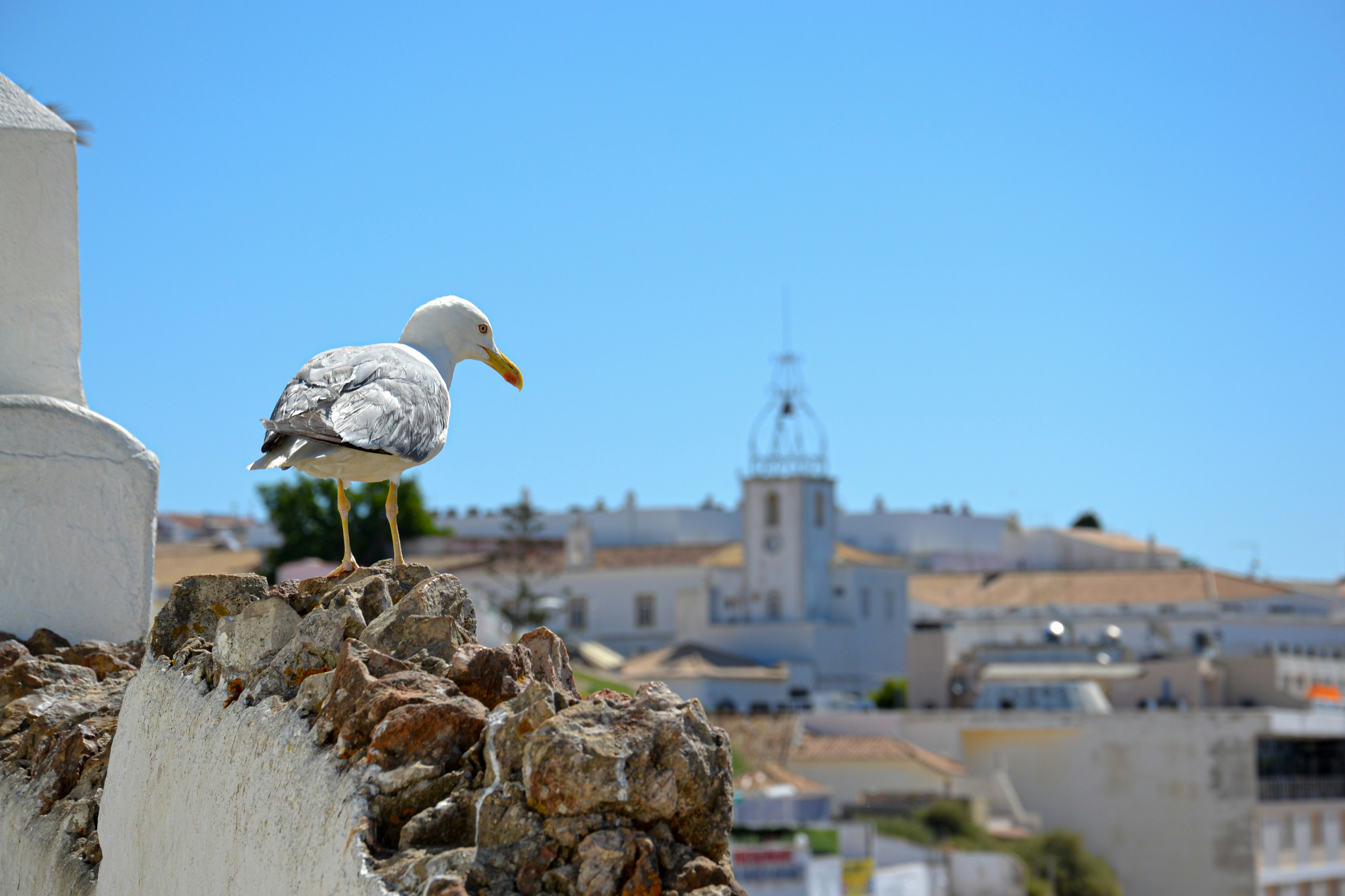 Photo by Danielle Suijkerbuijk with Nikon D3100