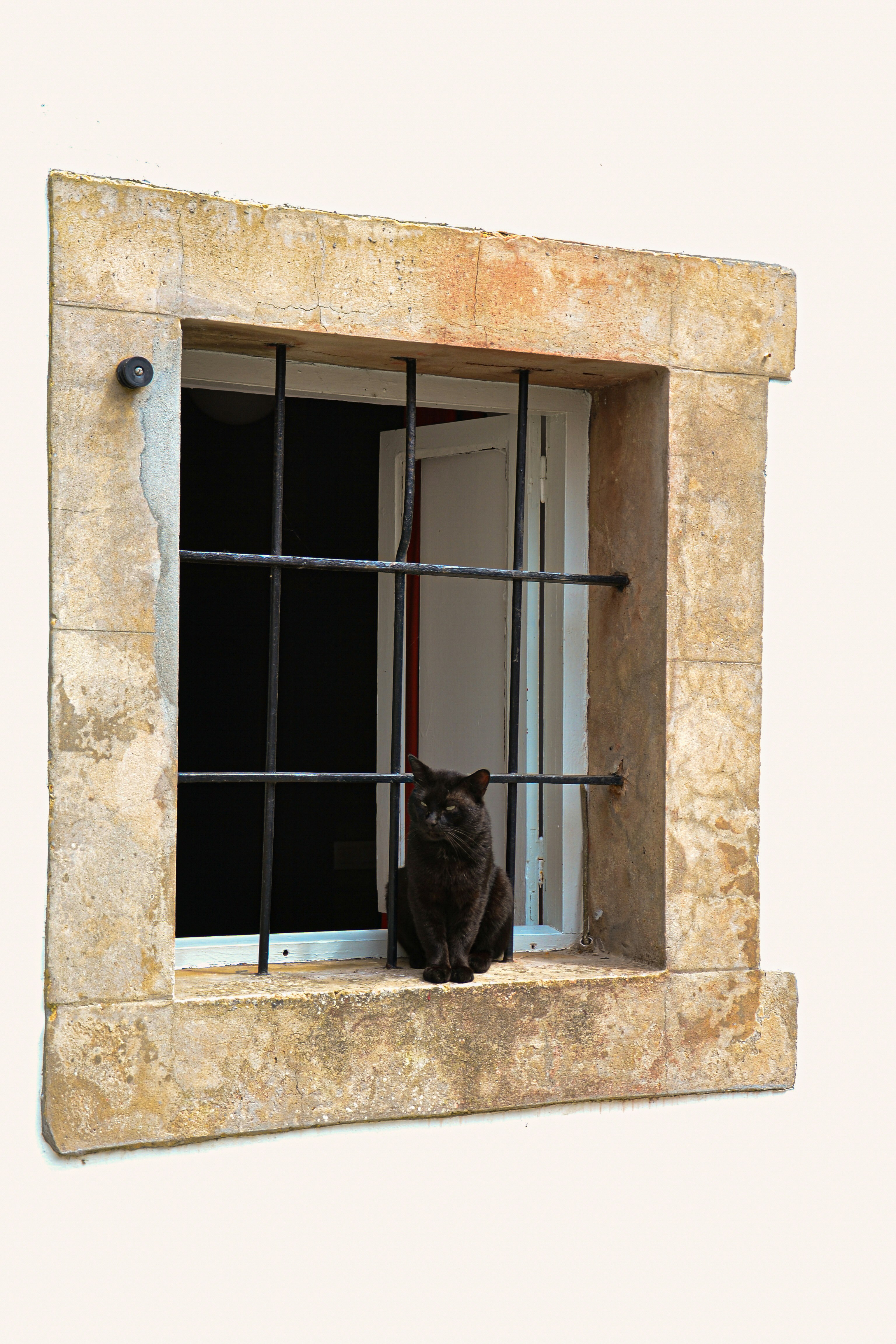 Photo by Danielle Suijkerbuijk with Nikon D3100