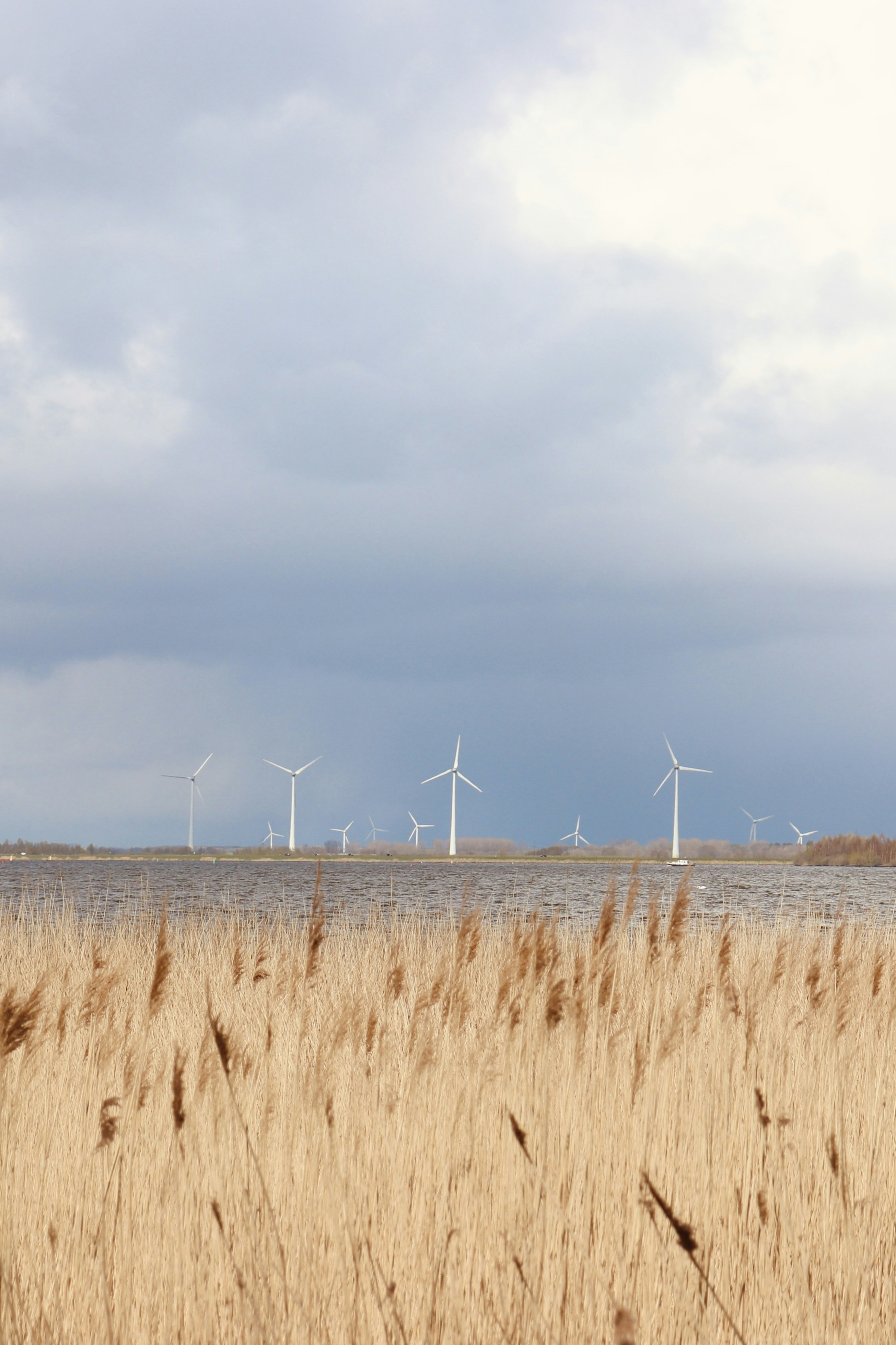 A group of wind turbines photo – Free Grey Image on Unsplash