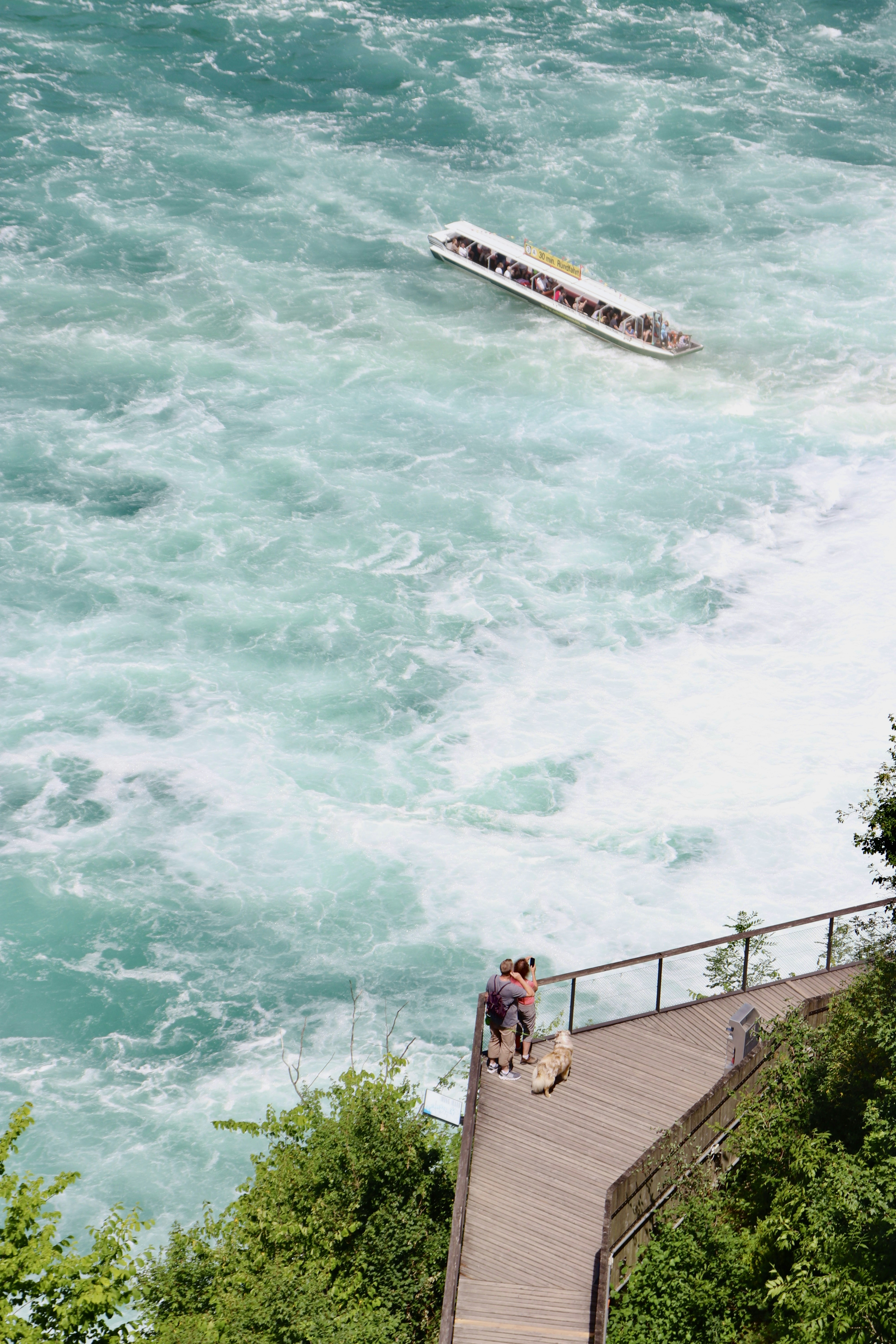 Riverside Embrace Over Turquoise Rapids