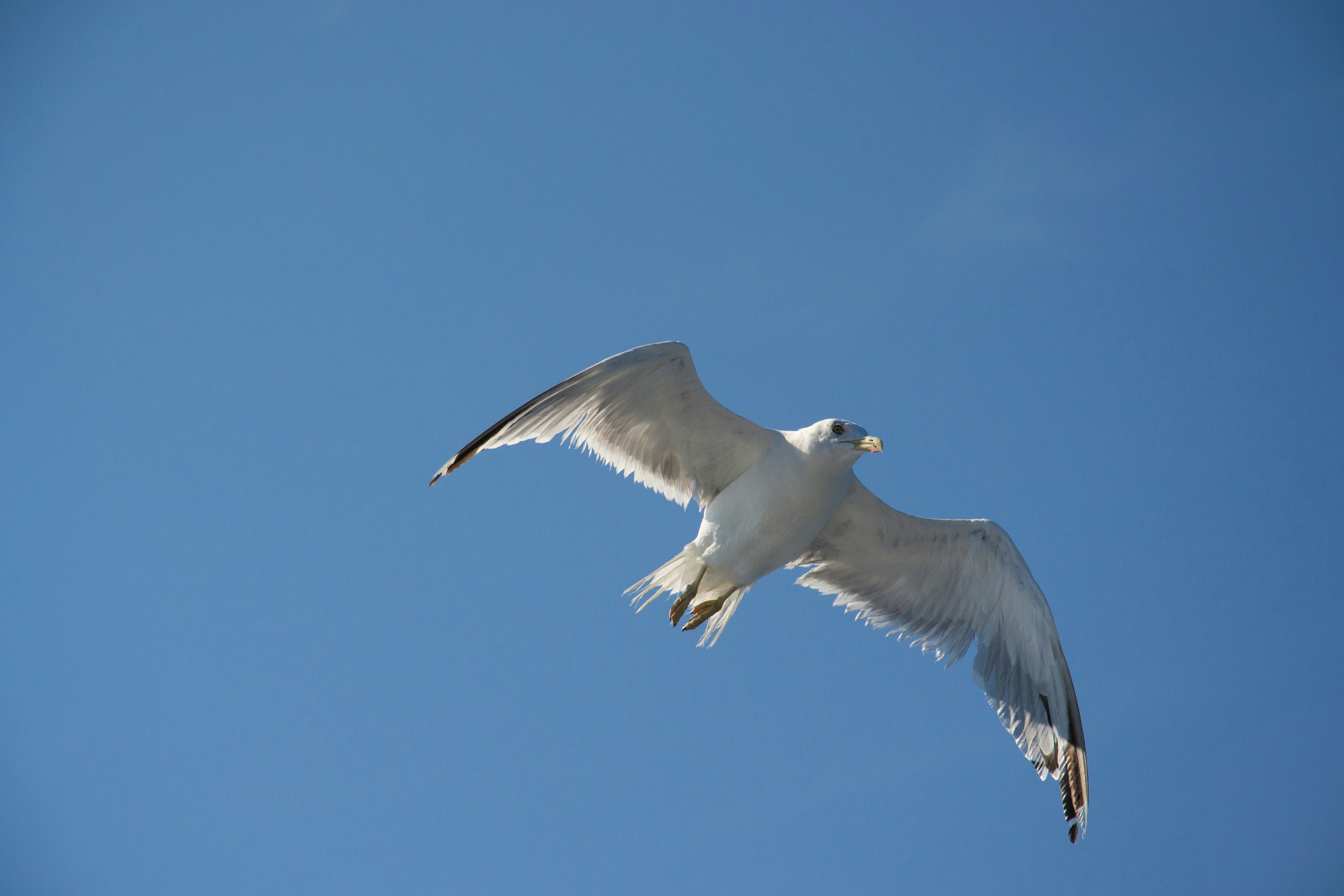 Photo by Danielle Suijkerbuijk with Nikon D3100