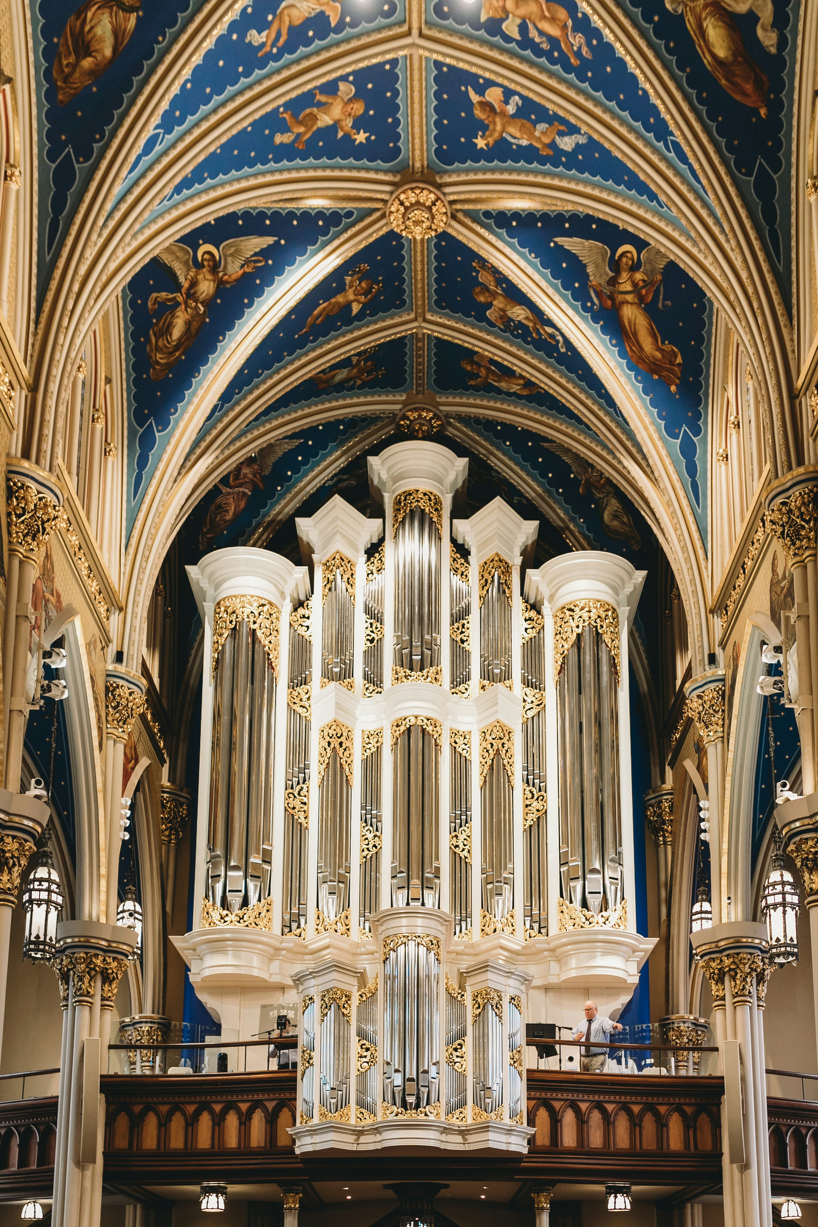 Sapphire Vaults, Golden Pipes: a Cathedral Organ in Reverent Light