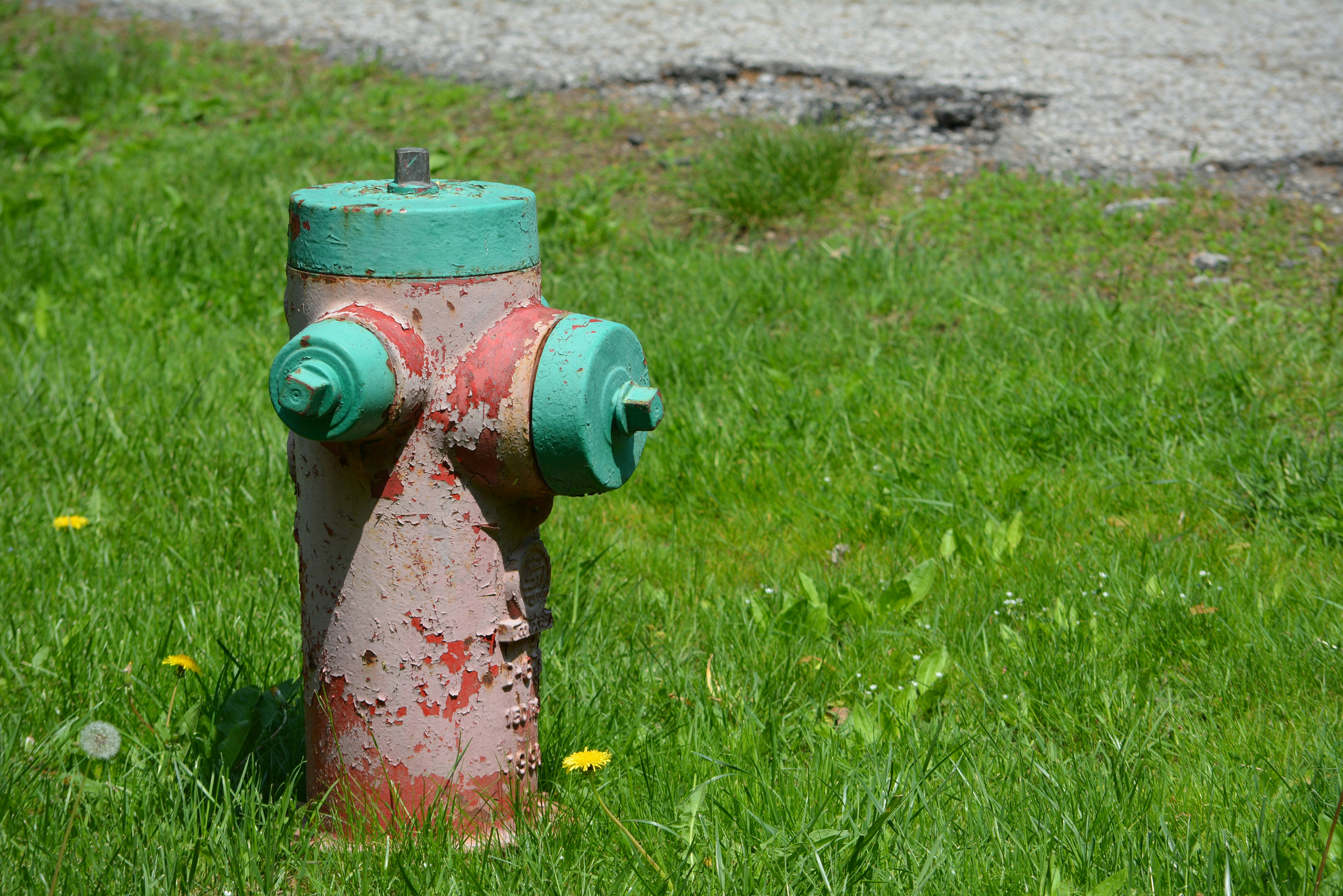 a fire hydrant in the grass