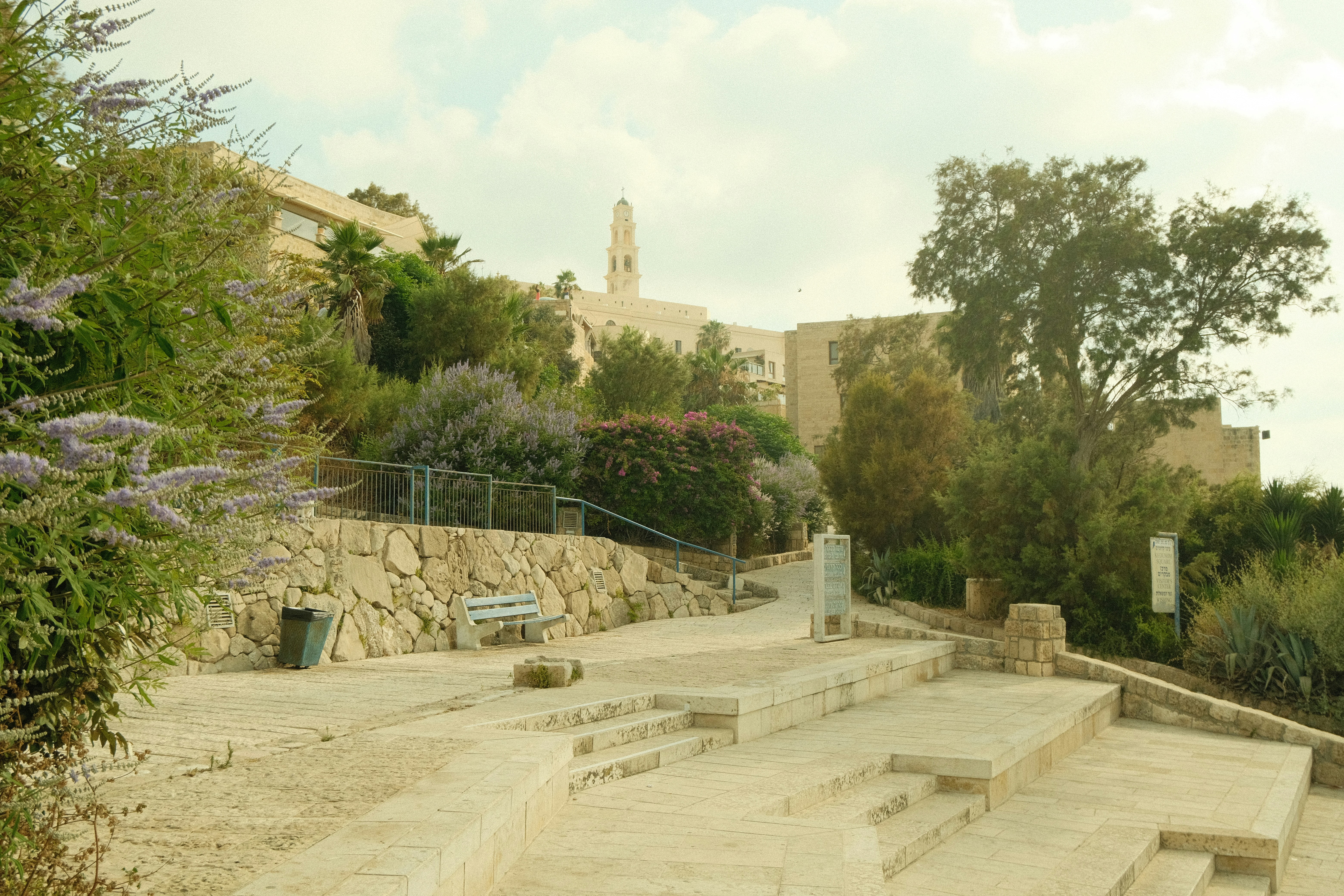 A stone walkway with trees and a building in the background photo ...