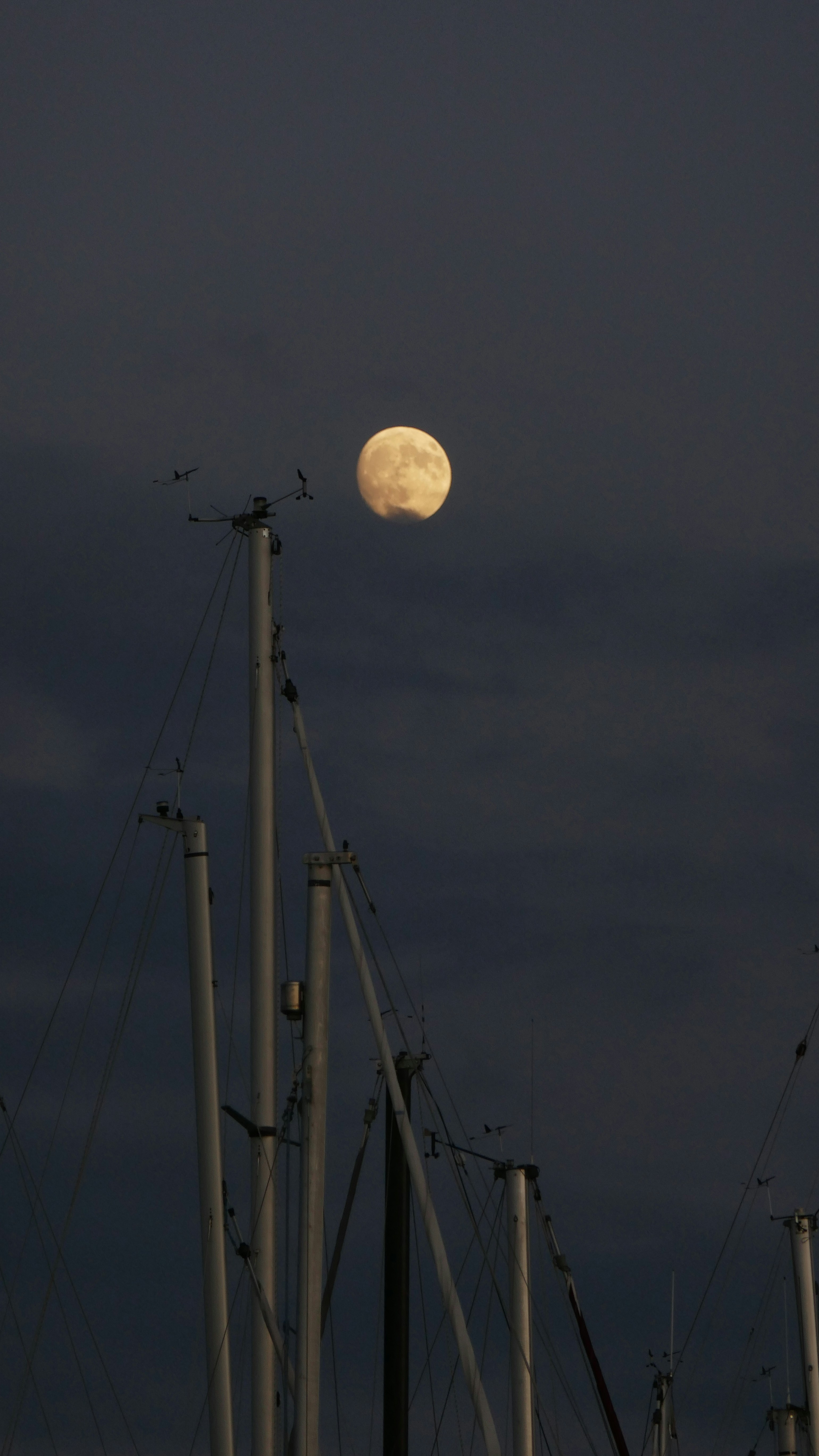 Una luna en el cielo foto – Imagen de Luna gratuita en Unsplash
