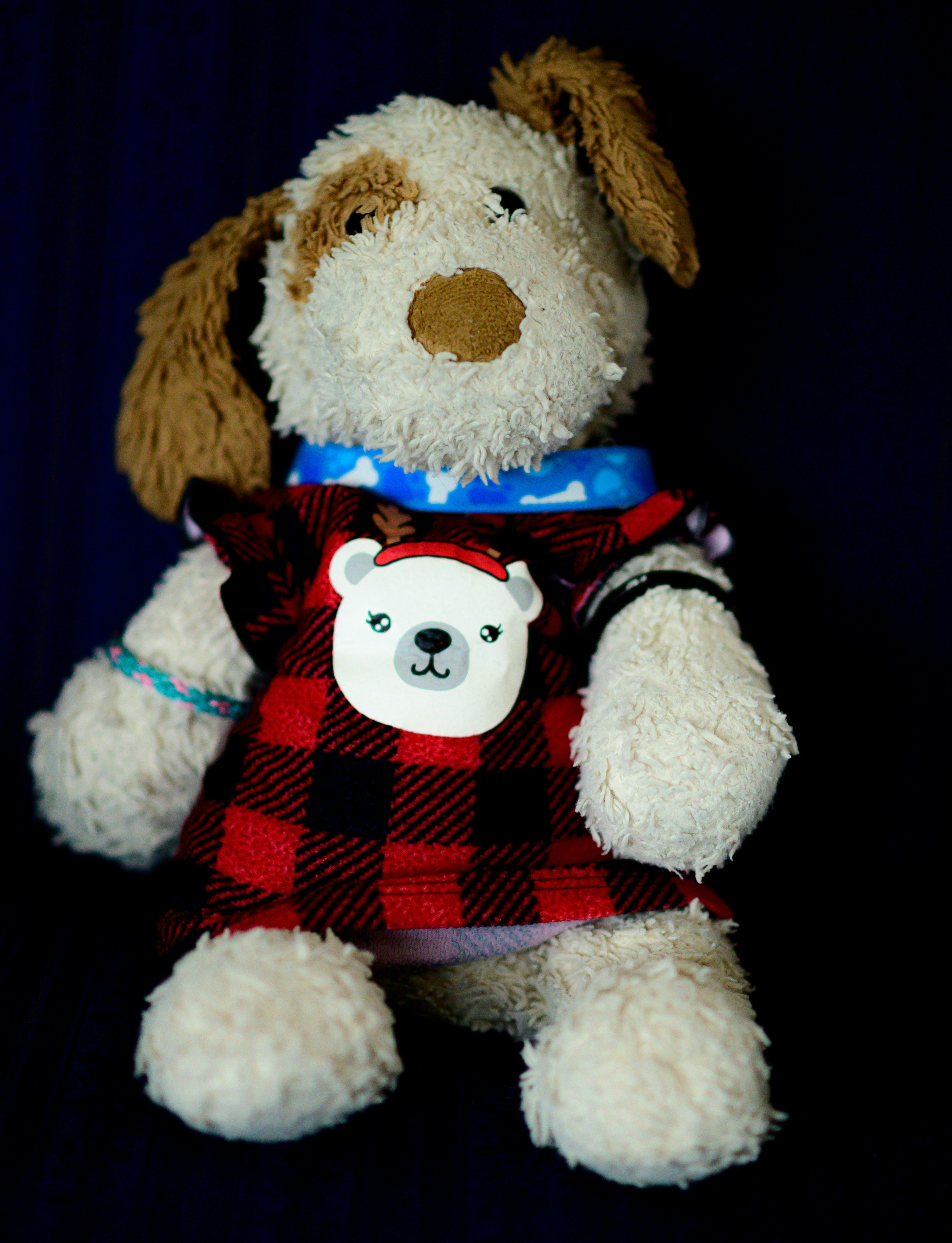 Toy Dog in Red Plaid Vest Under Soft Spotlight