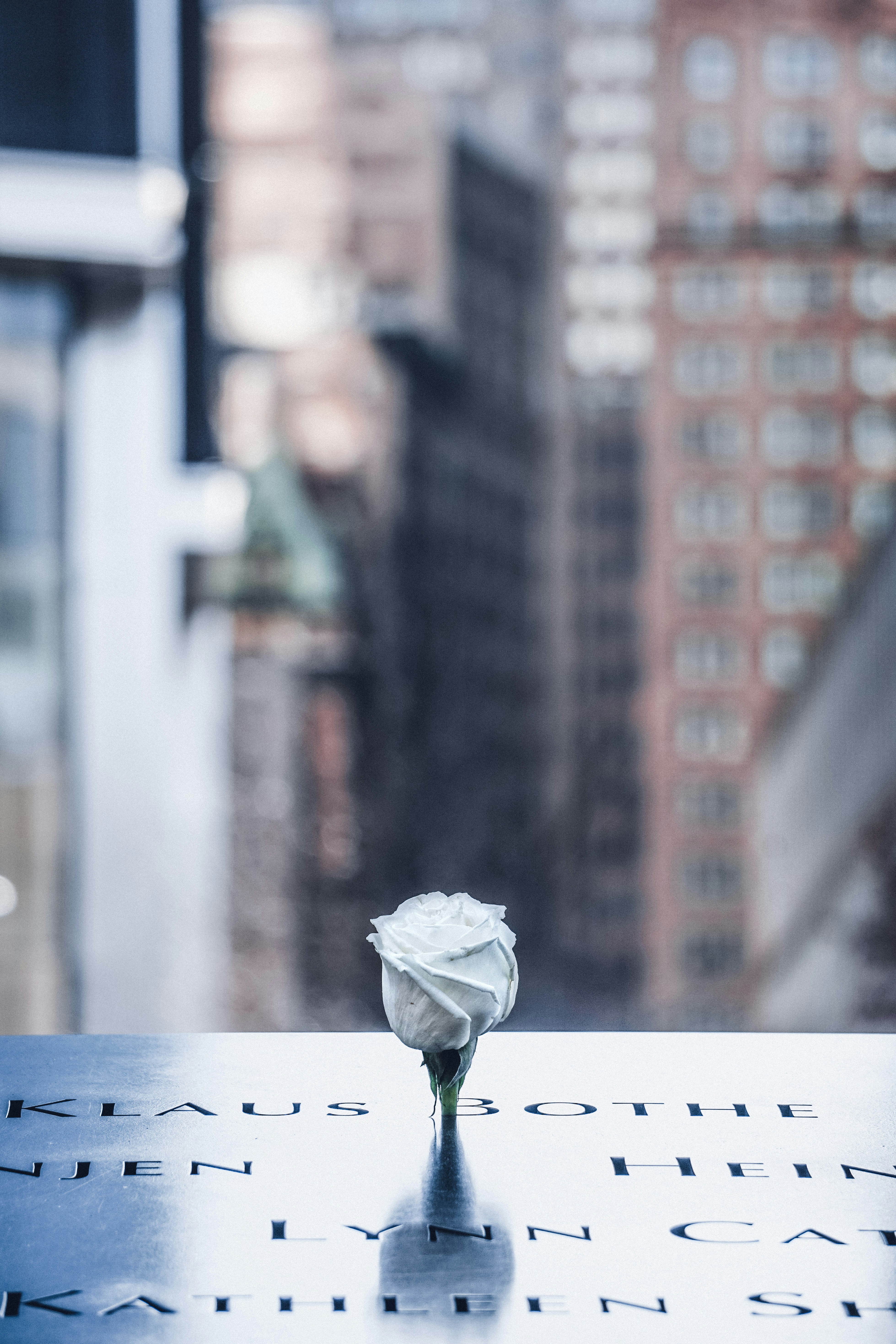 a white flower in a glass vase