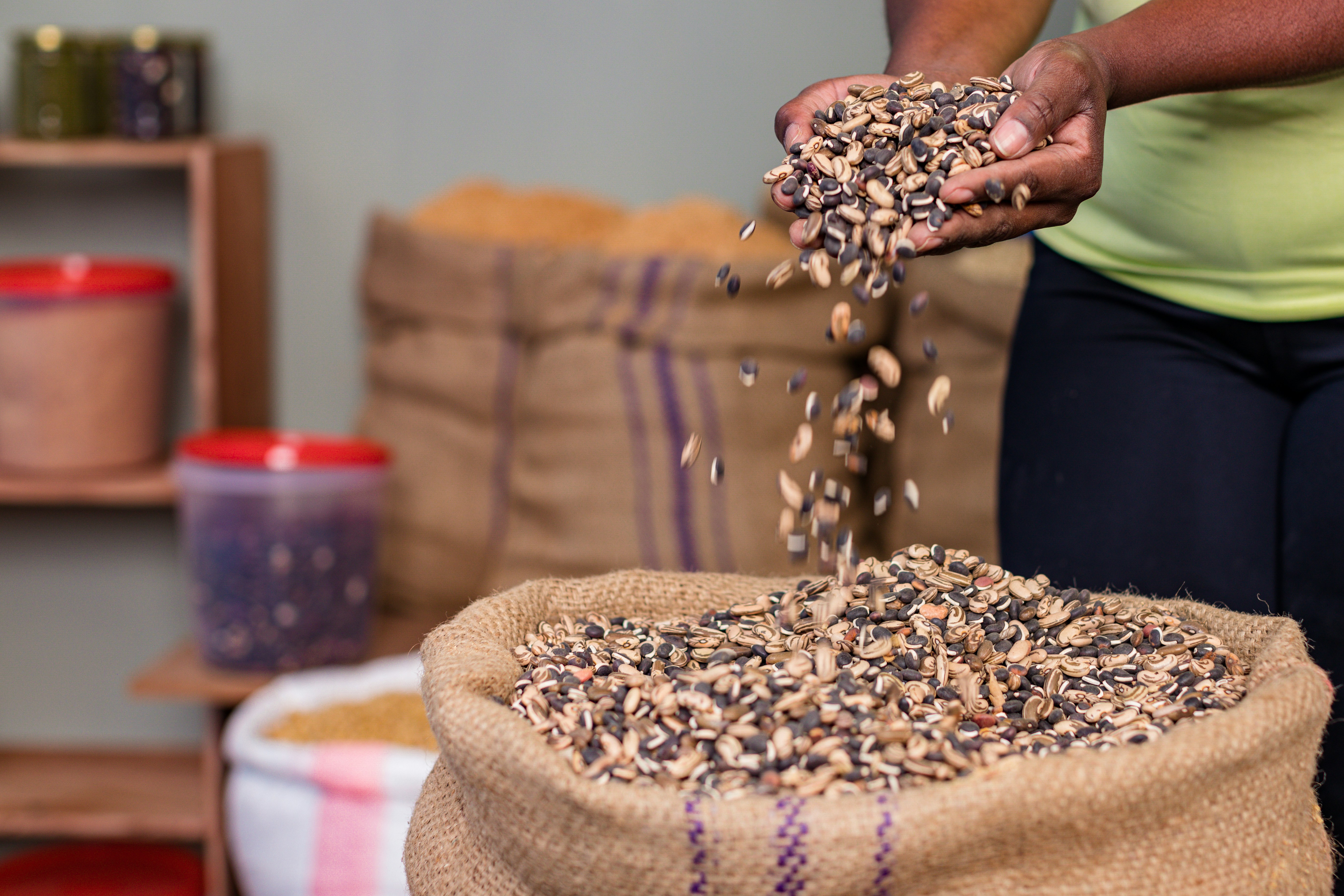 A person holding a bag of seeds photo – Free Person Image on Unsplash