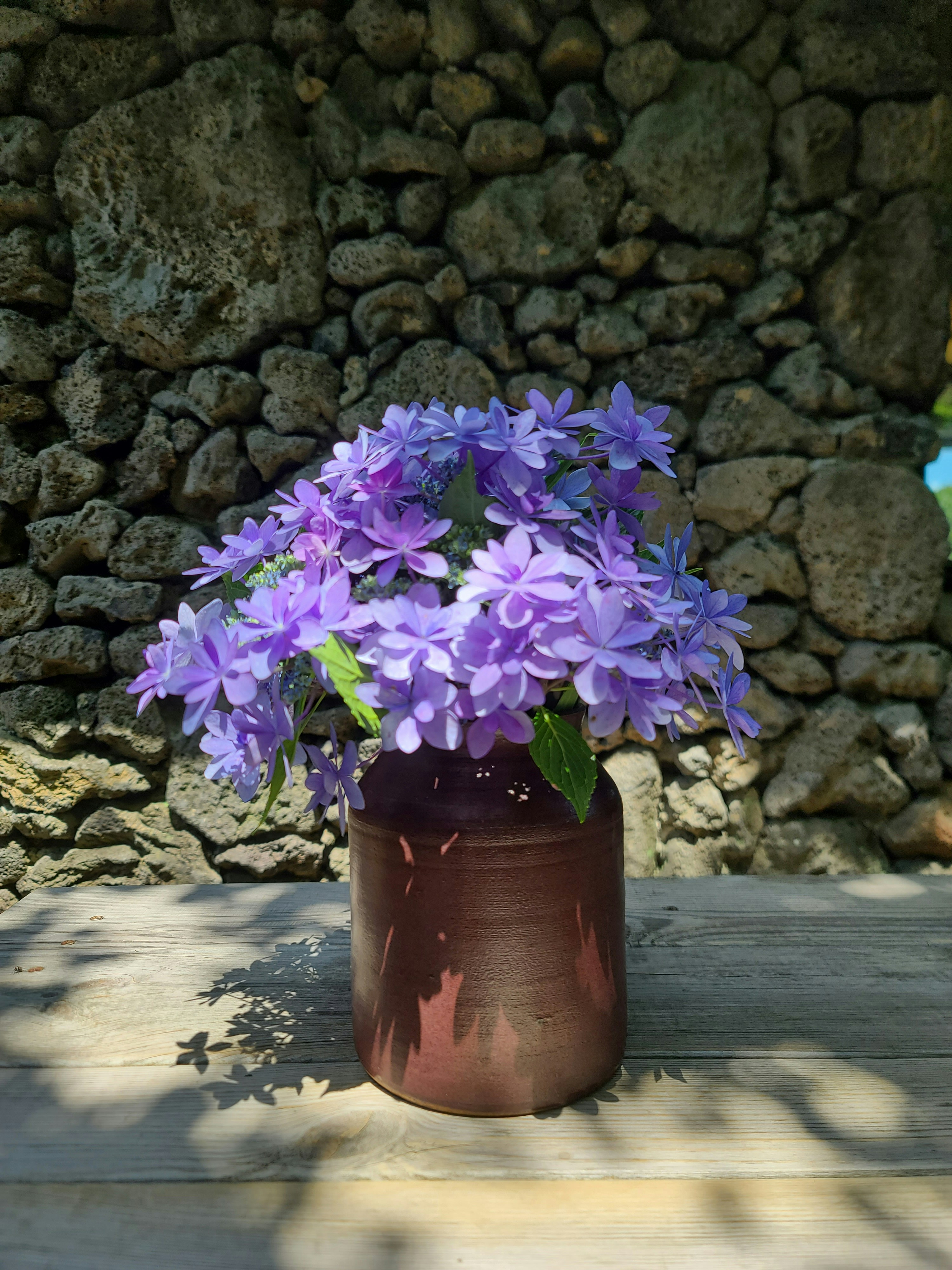 Sunlit Hydrangeas in a Terracotta Jar on Weathered Wood