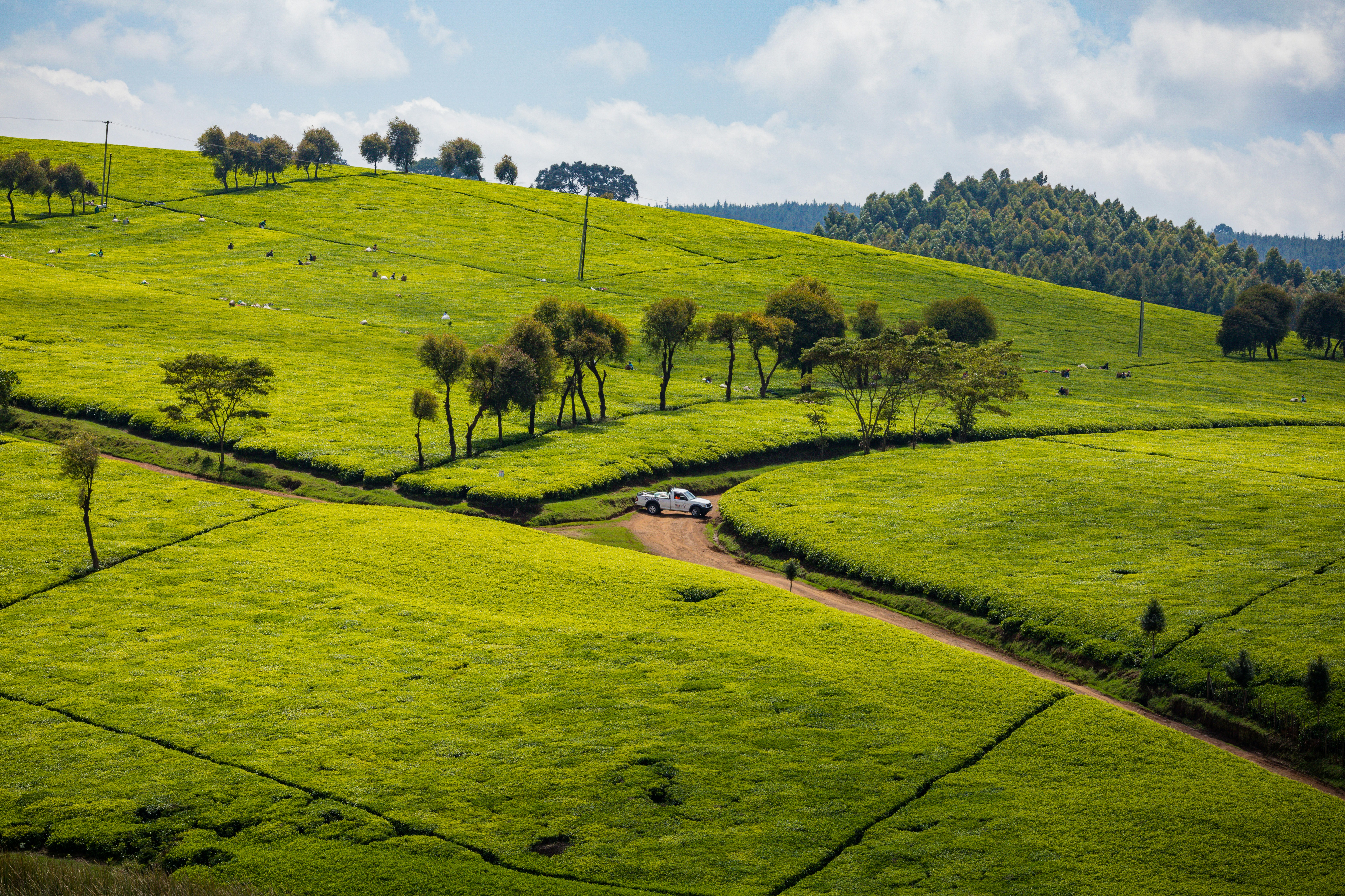 A car driving through a field of green grass photo – Free Nature Image ...