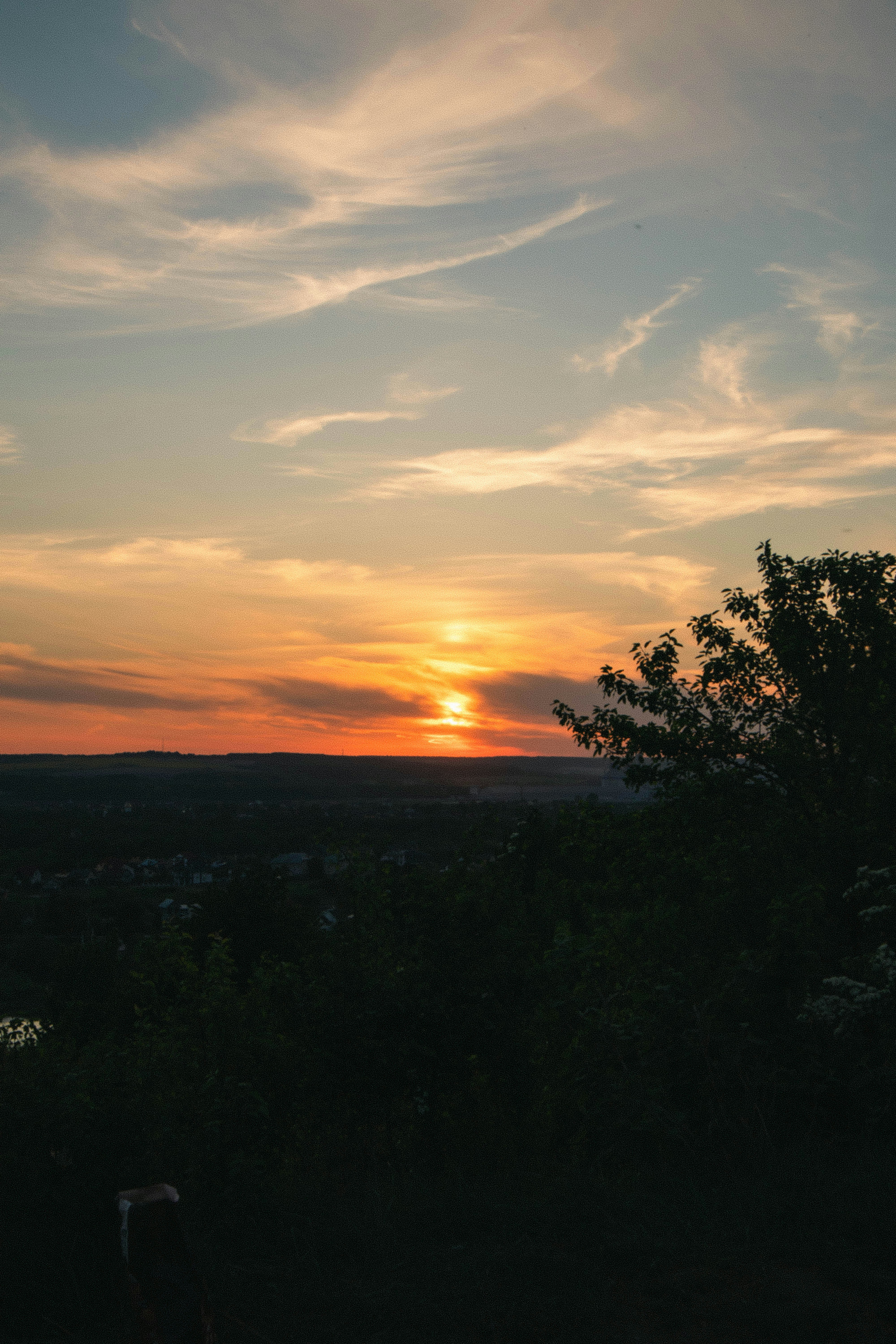 A sunset over a forest photo – Free Sky Image on Unsplash