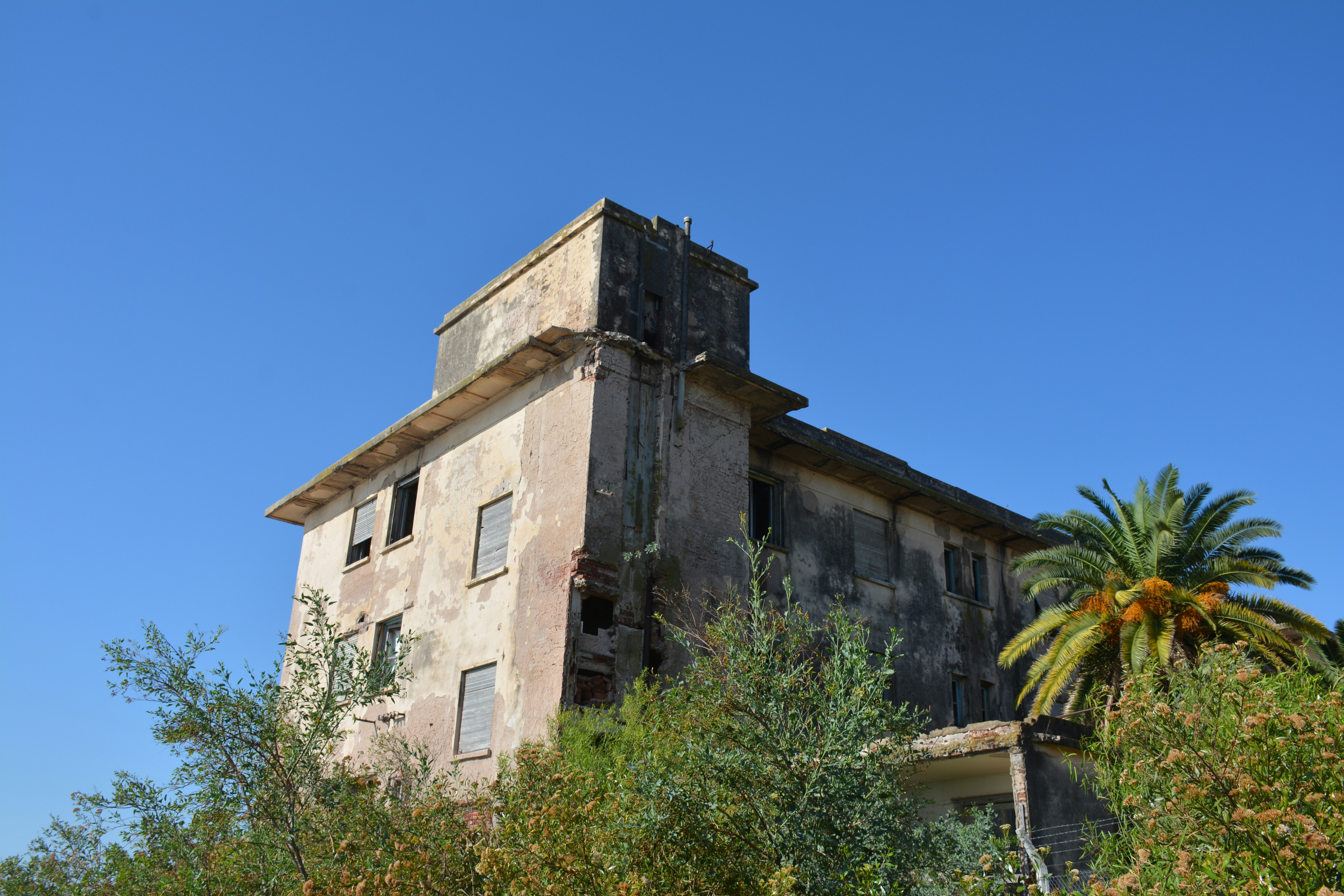 Photo by Yamila Arrascaeta with Nikon D7100