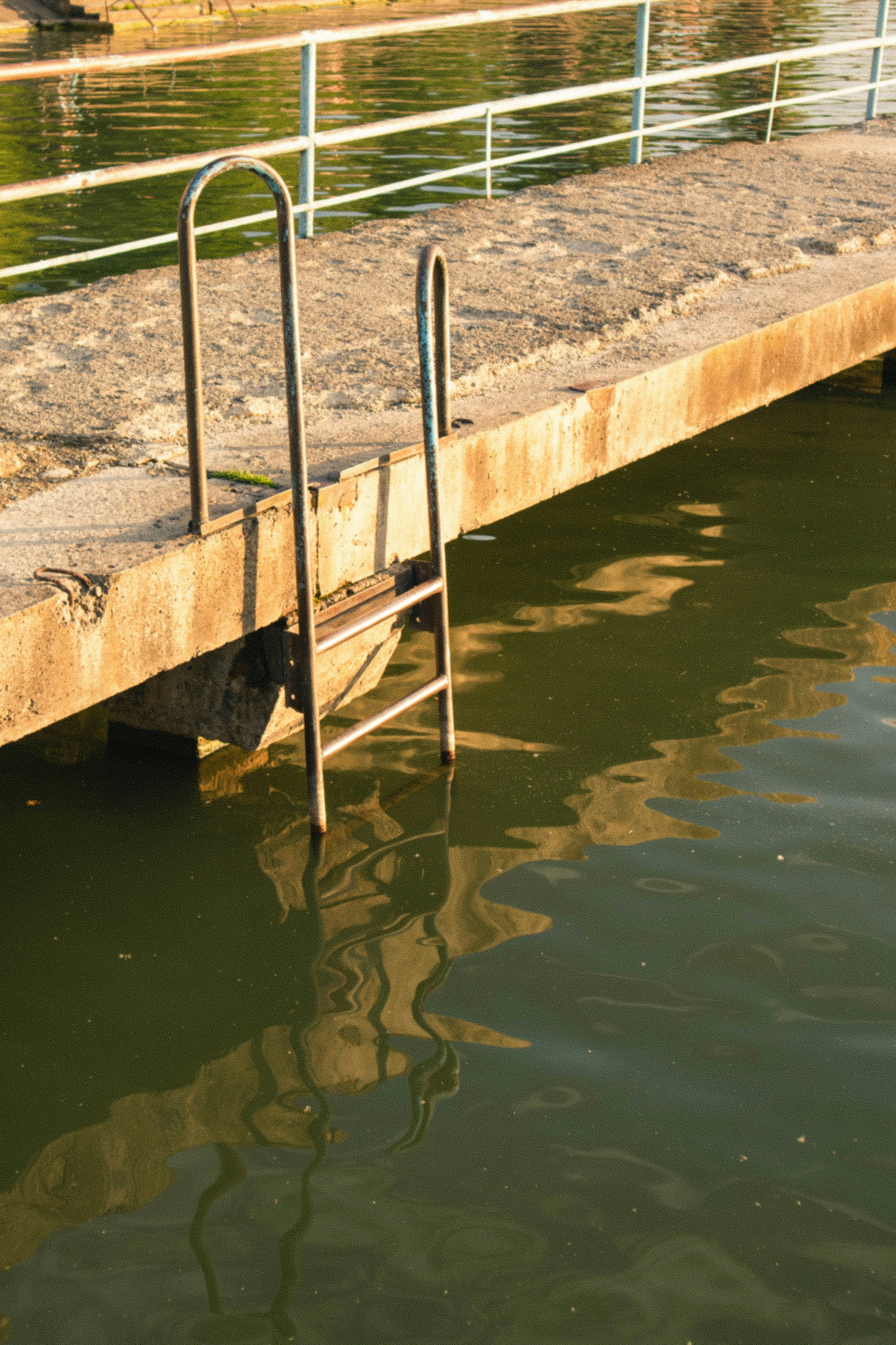 Rust and Reflection: A Pier Ladder Descends into Quiet Green Water