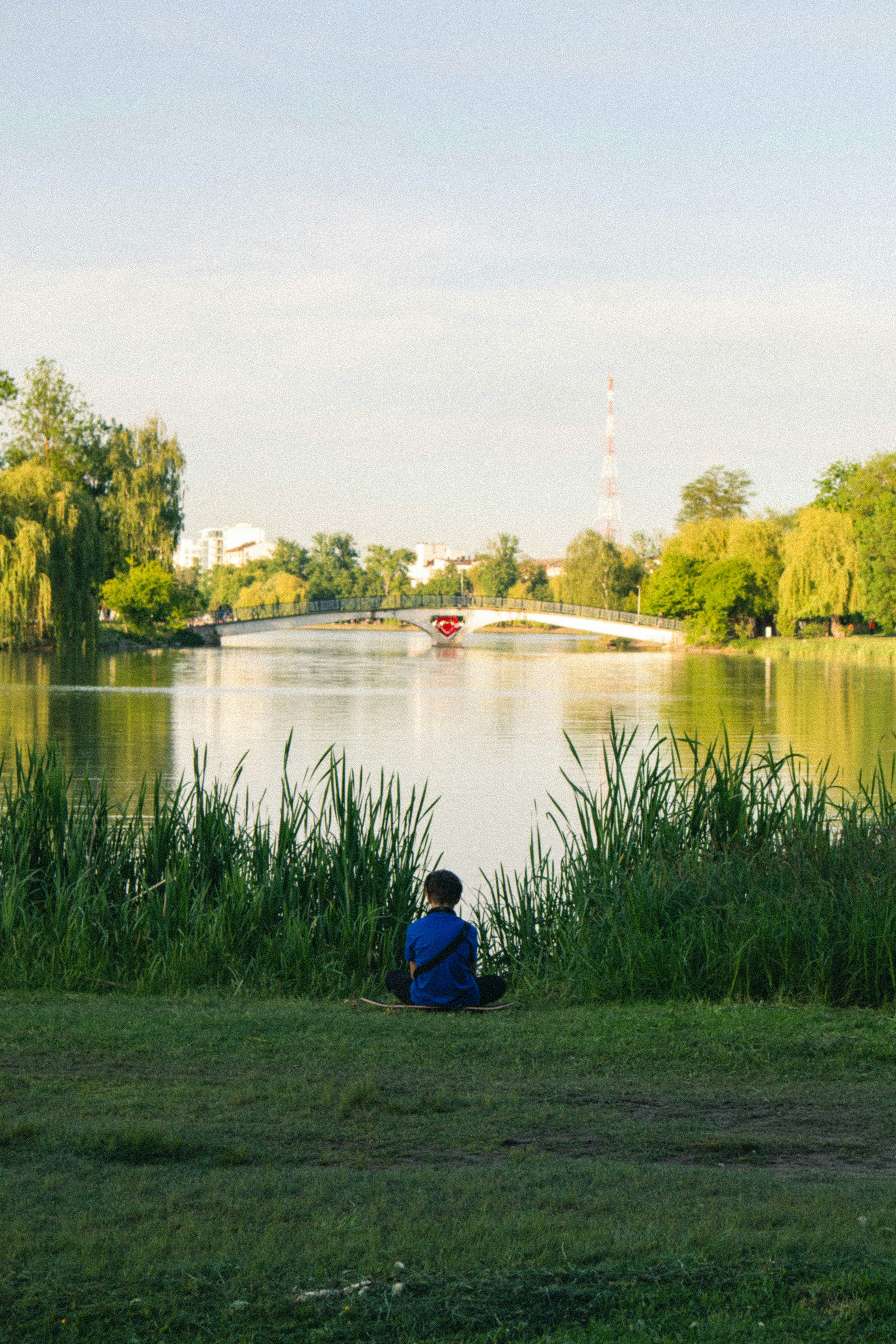 Blue-Clad Contemplation by the Riverside