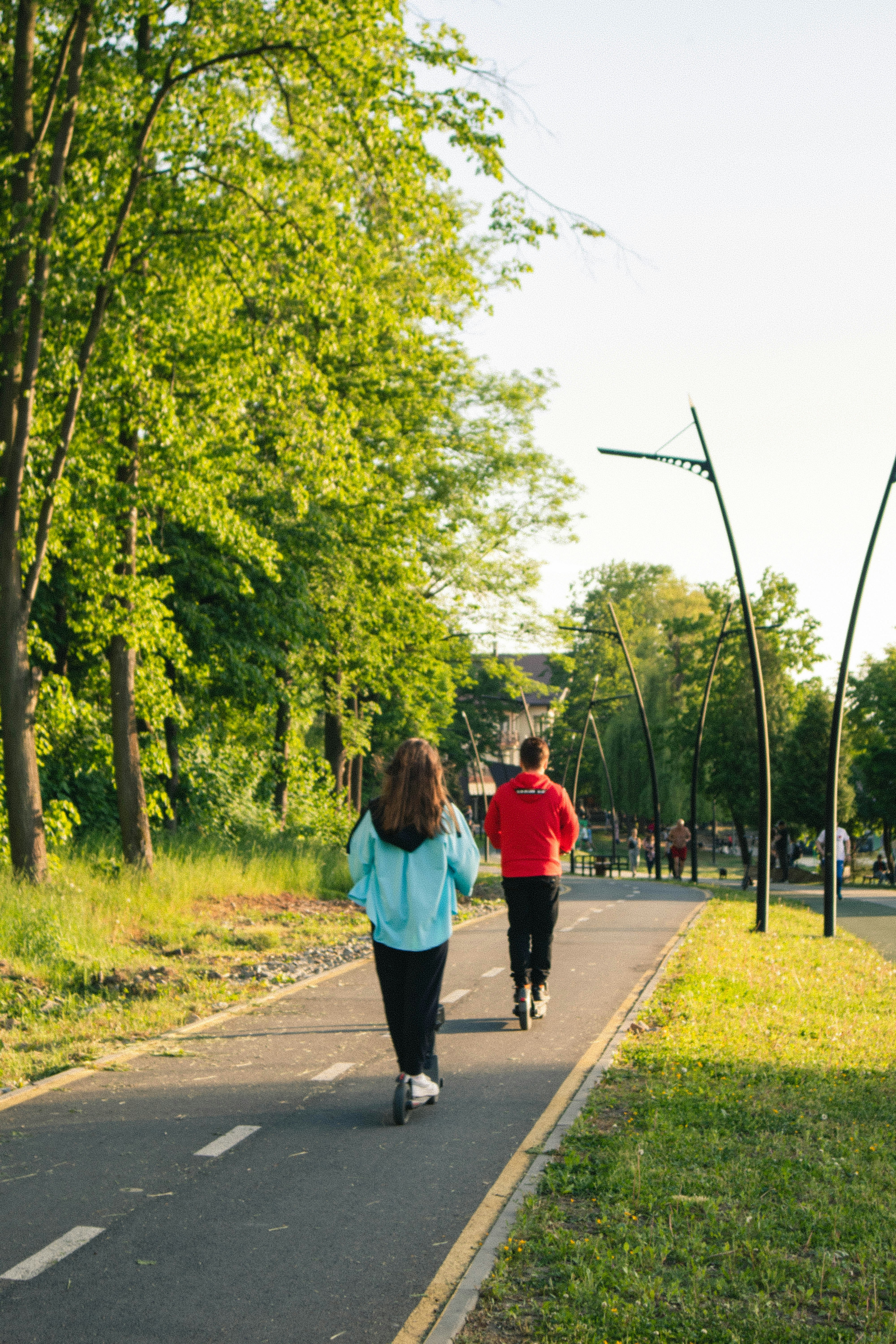Sunlit Greenway: A Pair Strolling Down a Quiet Park Path
