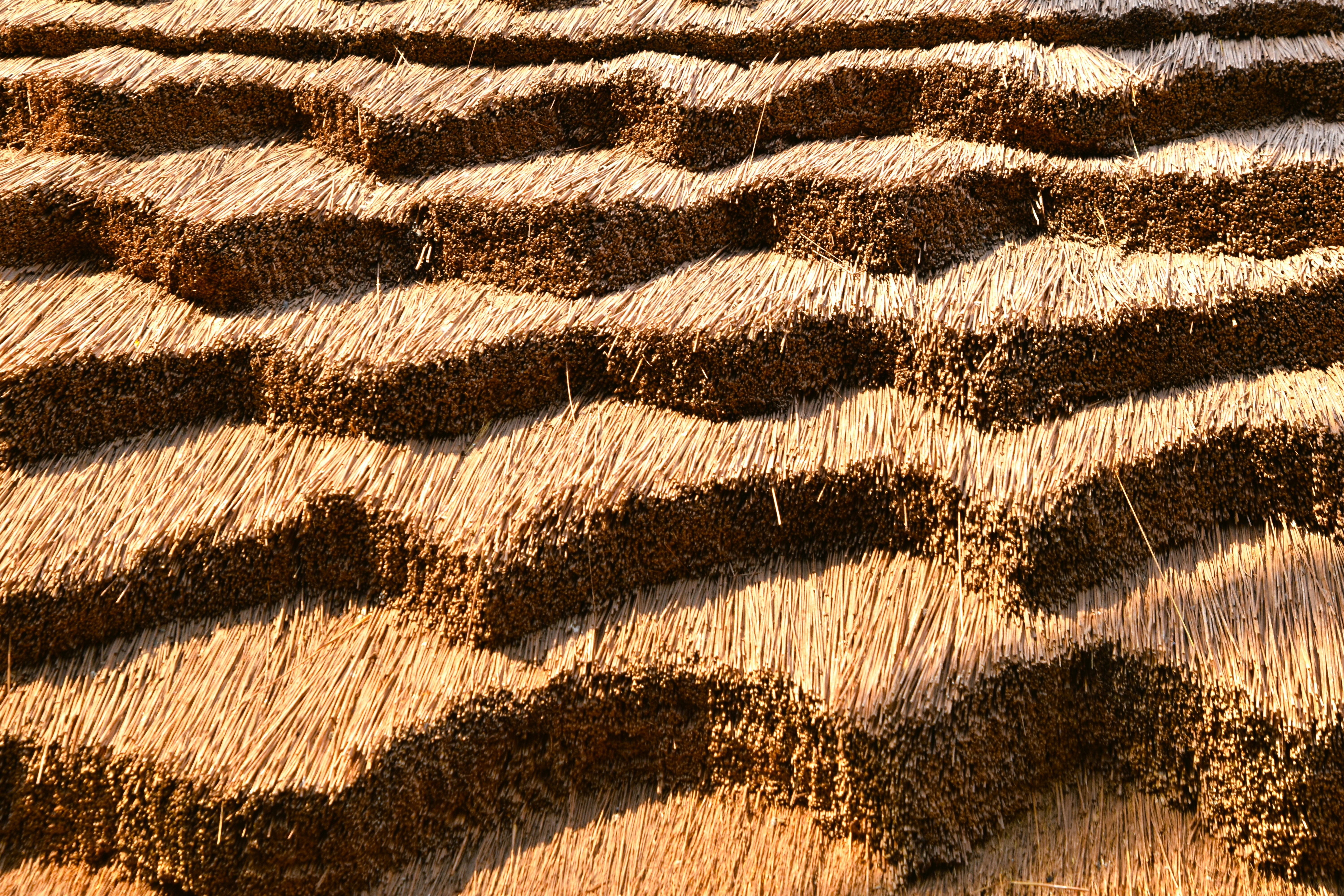 Thatched Roof
