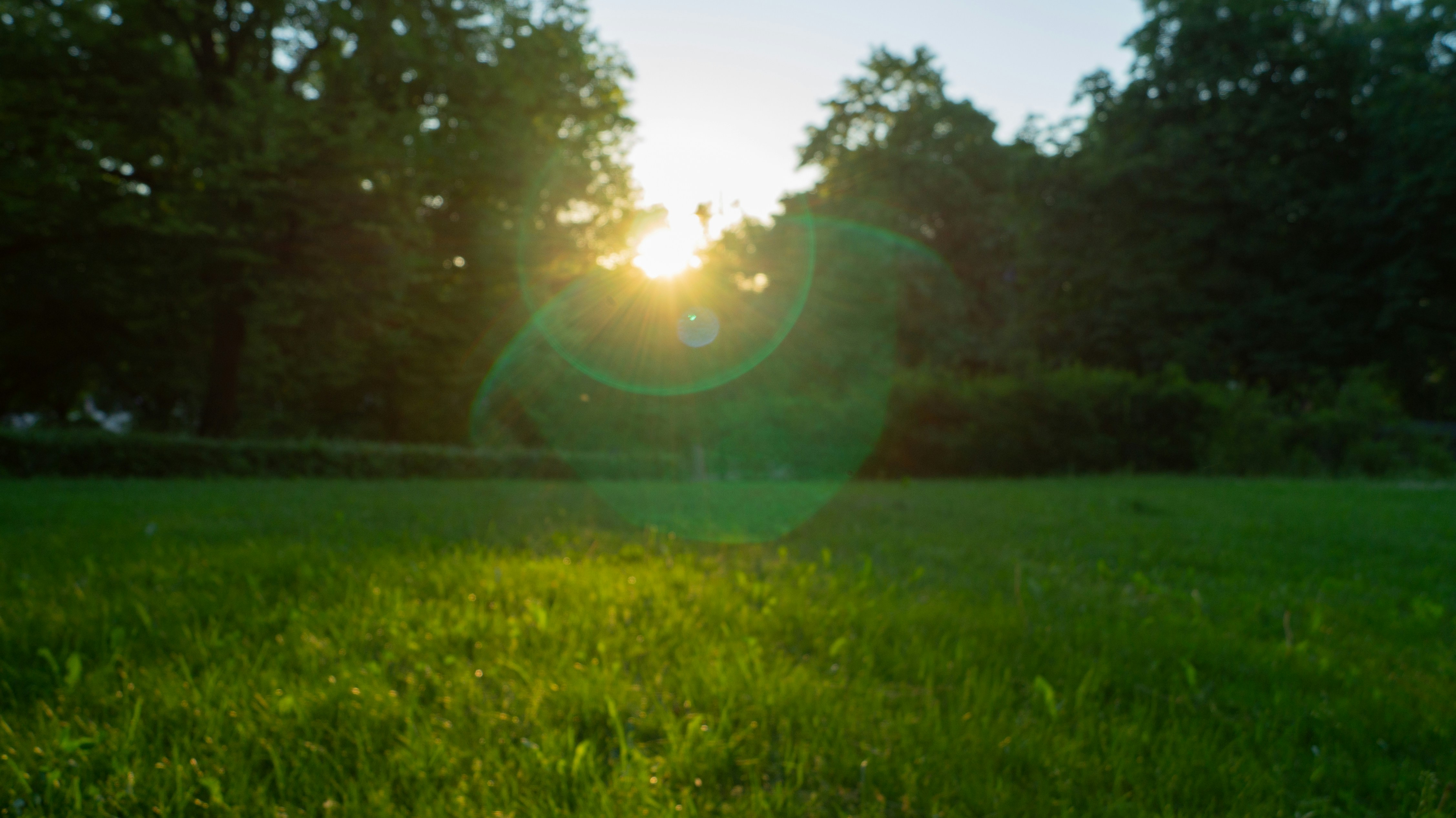 a large green slide in a park