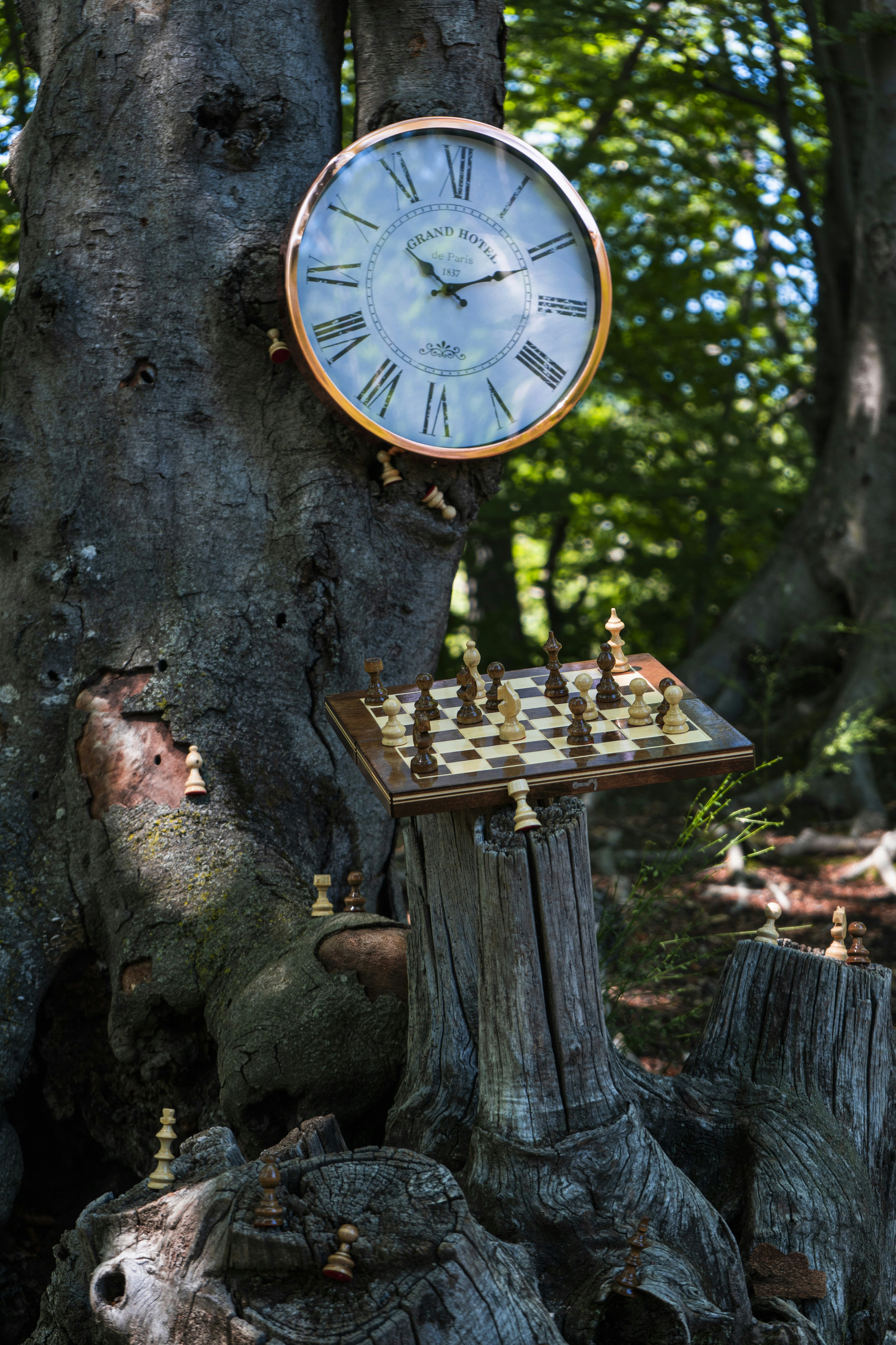 Timber Clock: An Antique Clock Guarding a Forest Chessboard