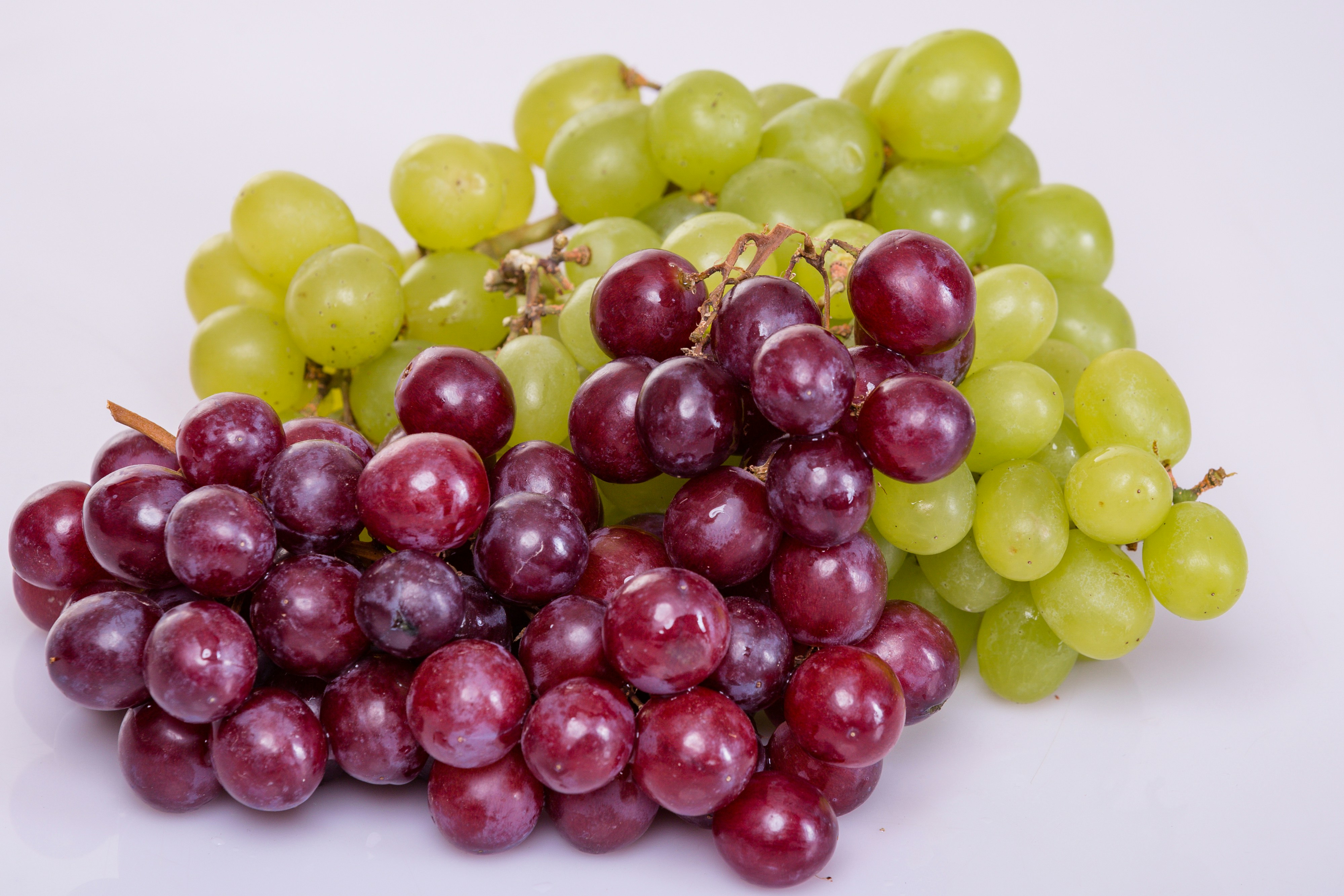 A pile of colorful grapes photo – Free Plant Image on Unsplash