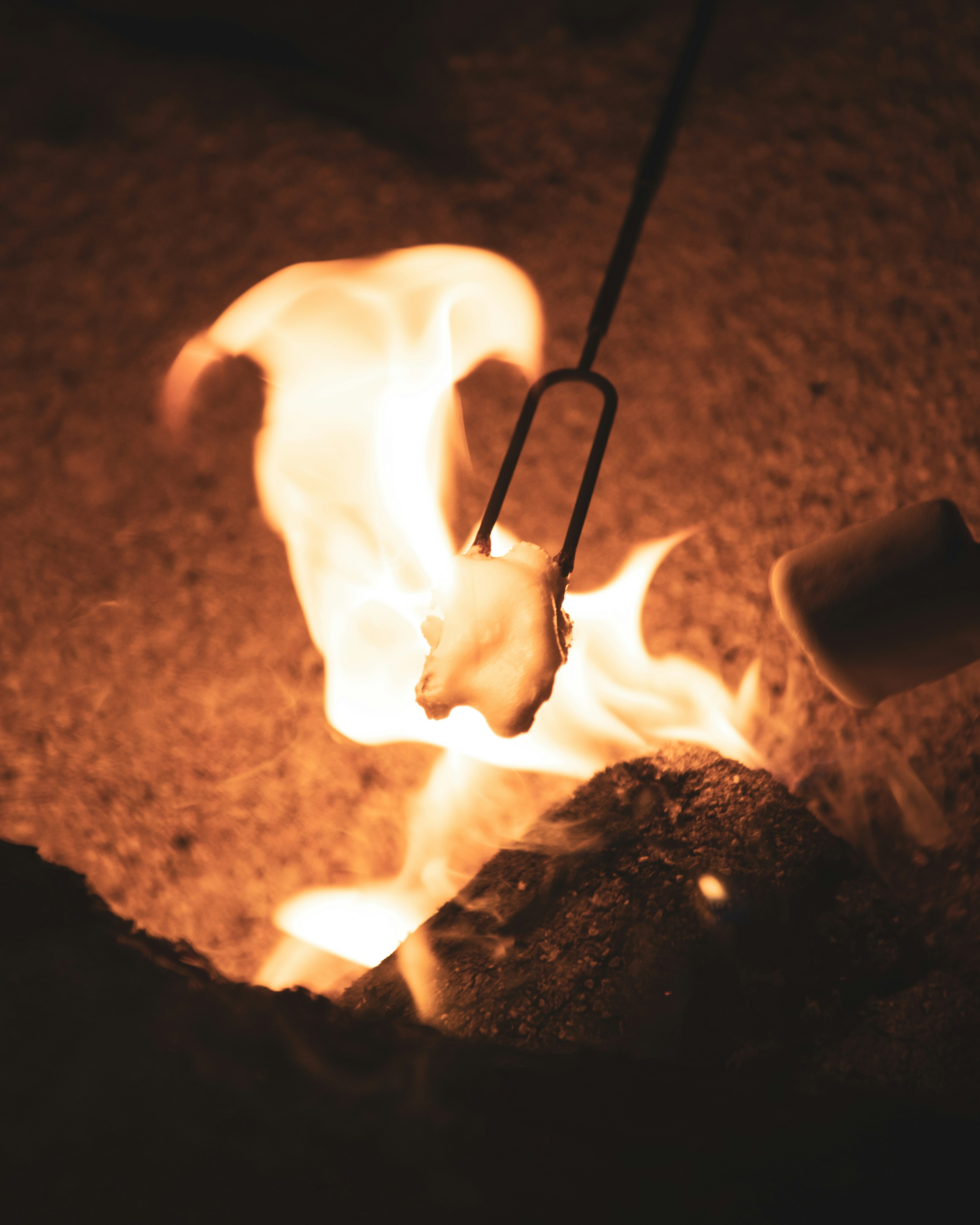 Marshmallow toasting over a vibrant campfire, capturing the warmth and essence of outdoor gatherings.