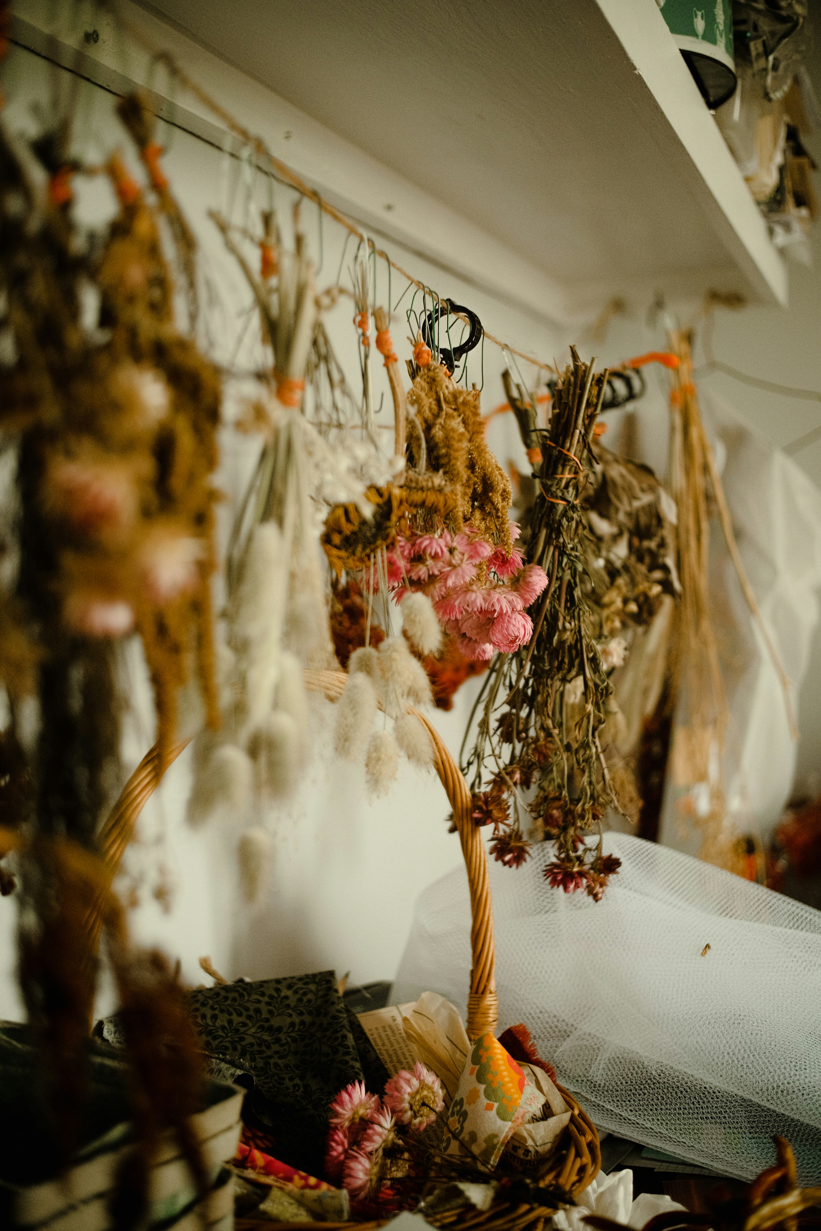 Hanging Botanicals in a Quiet Studio: A Tactile Still Life