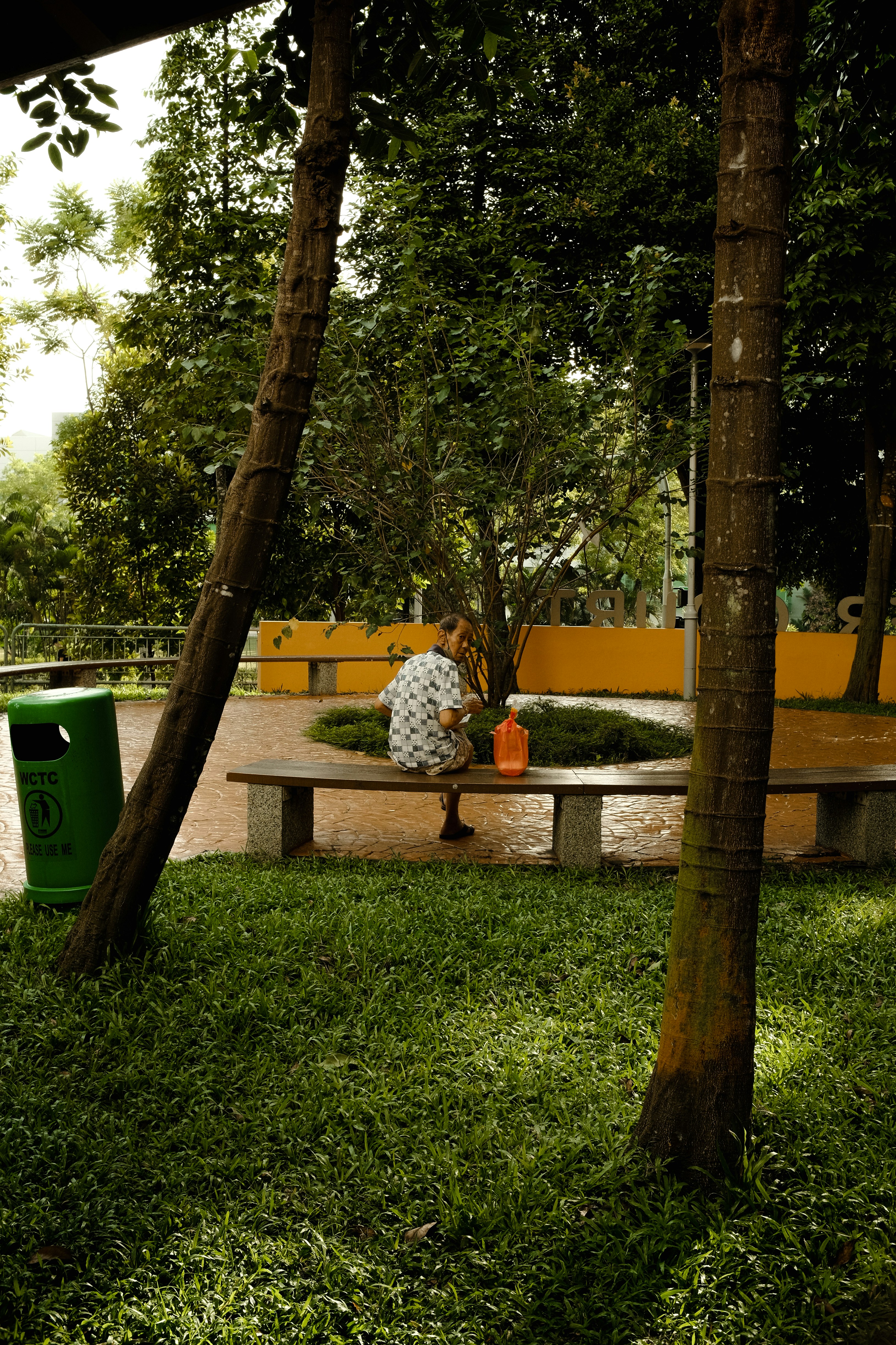 Person sitting on a bench in a lush green park, engaging with a bright orange container amidst trees and a colorful backdrop.