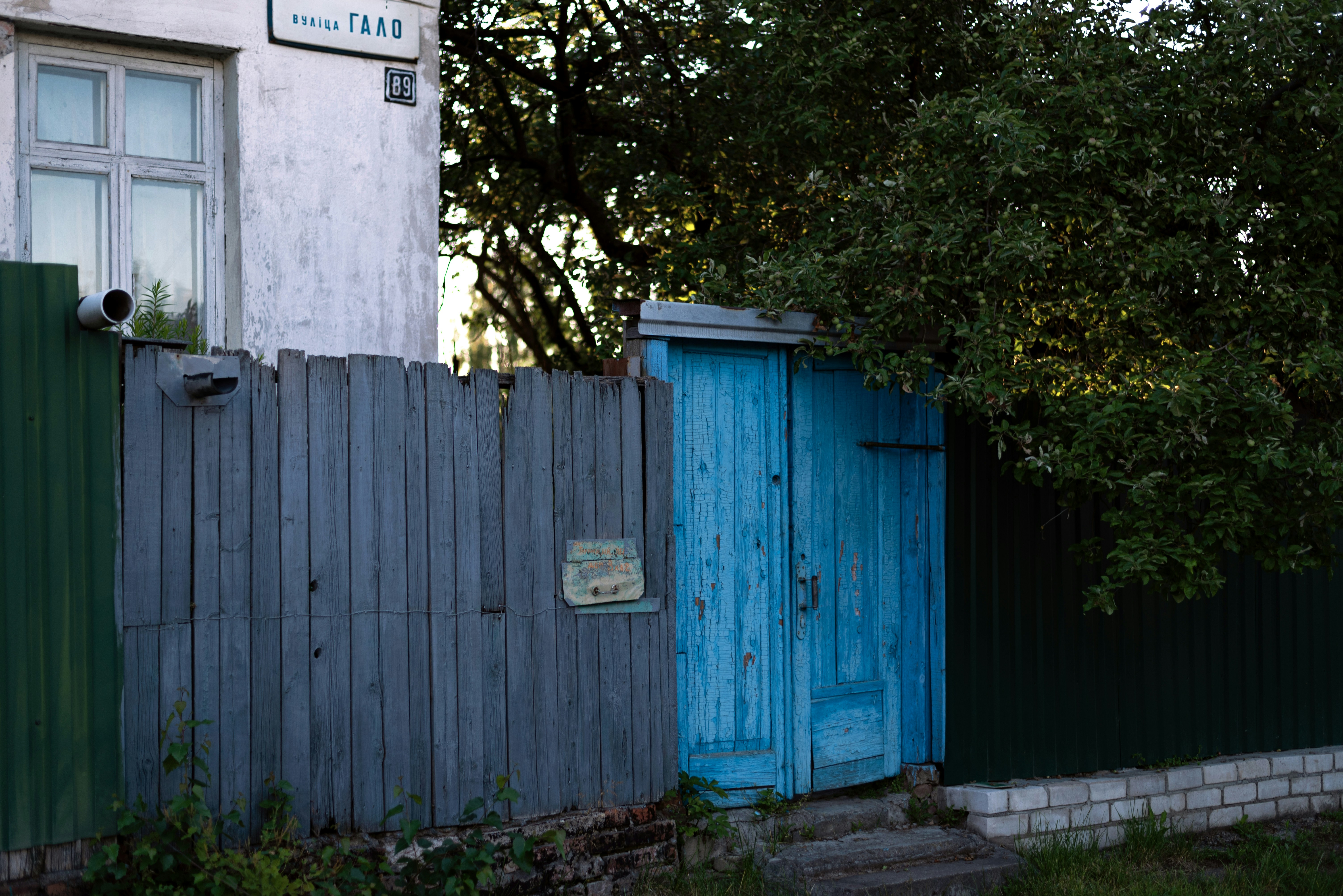 Weathered blue door nestled between rustic wooden fences and lush greenery, hinting at stories of the past.