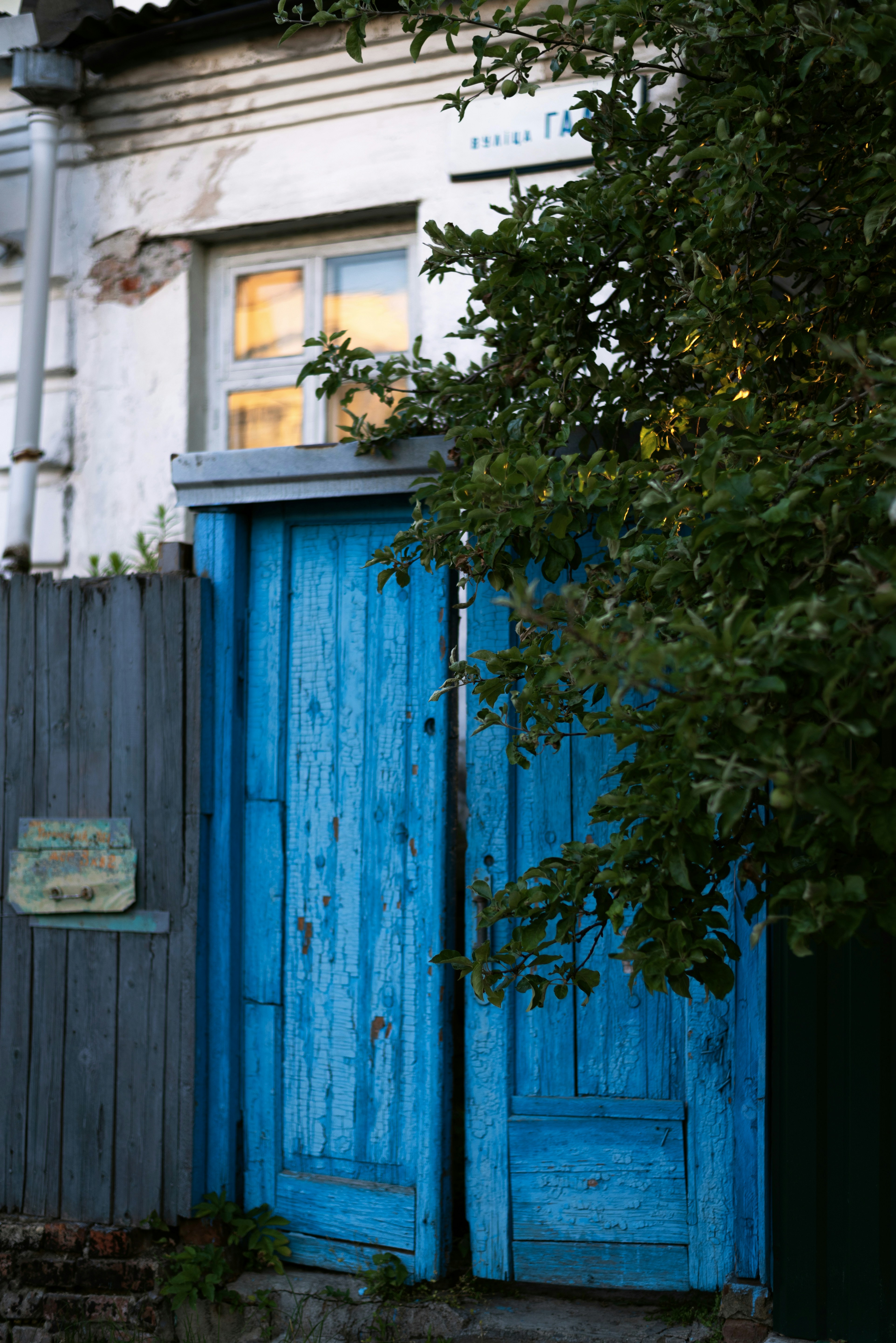 Weathered Azure Doorway Framed by Tangled Greenery