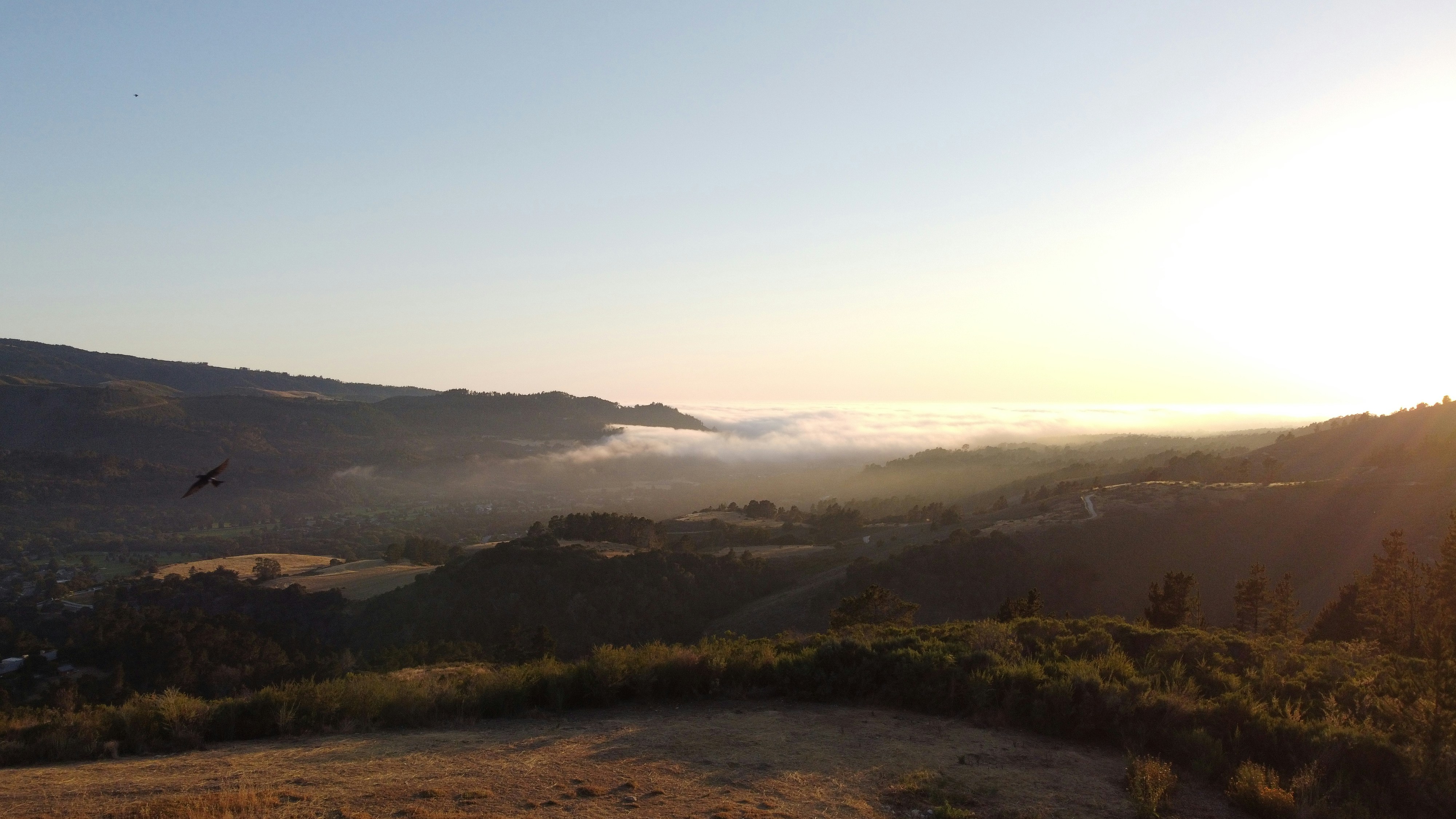 Dawn Horizon: Fog-Laced Valley Under a Quiet Sun