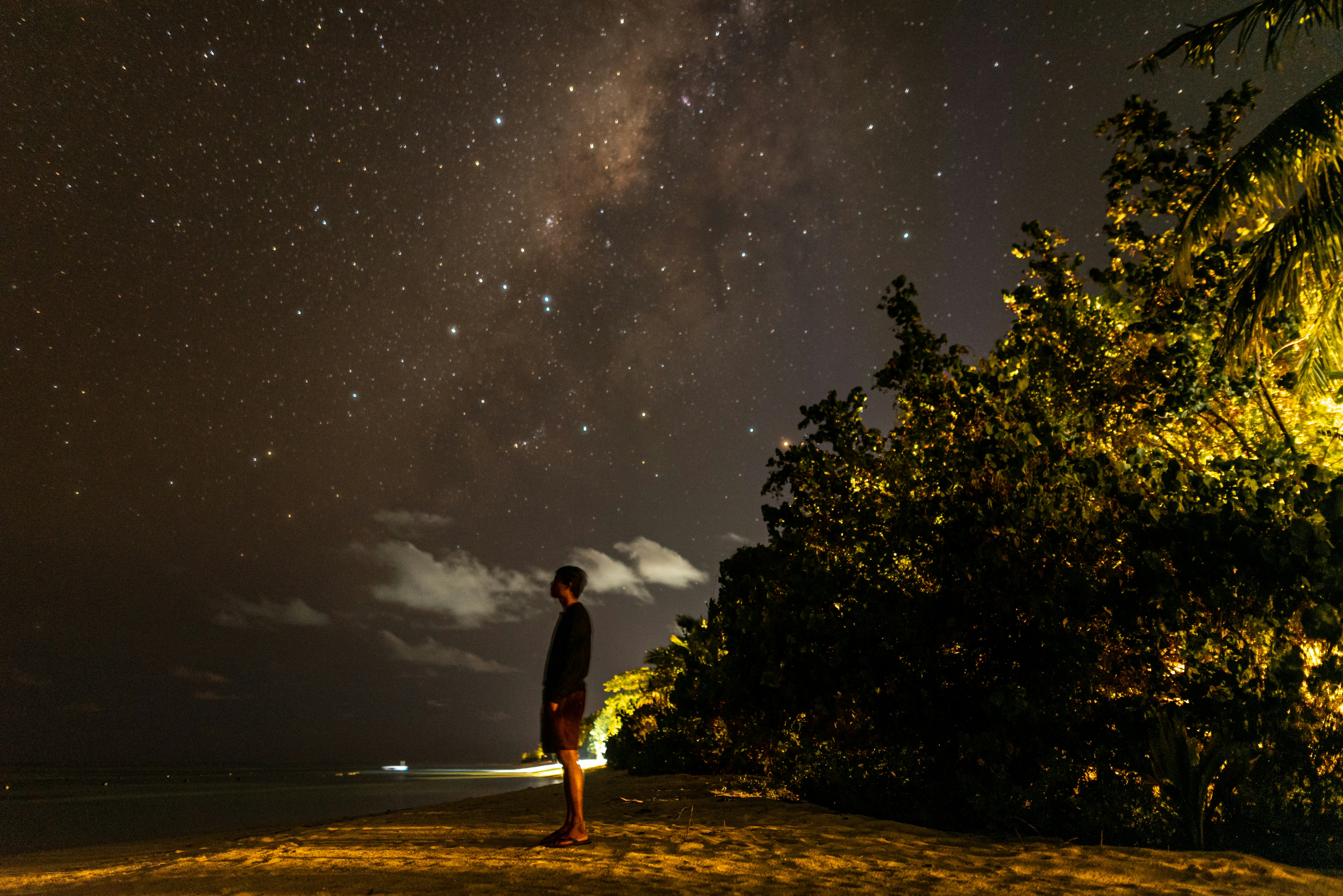 Lone Figure Beneath the Milky Way on a Quiet Shore