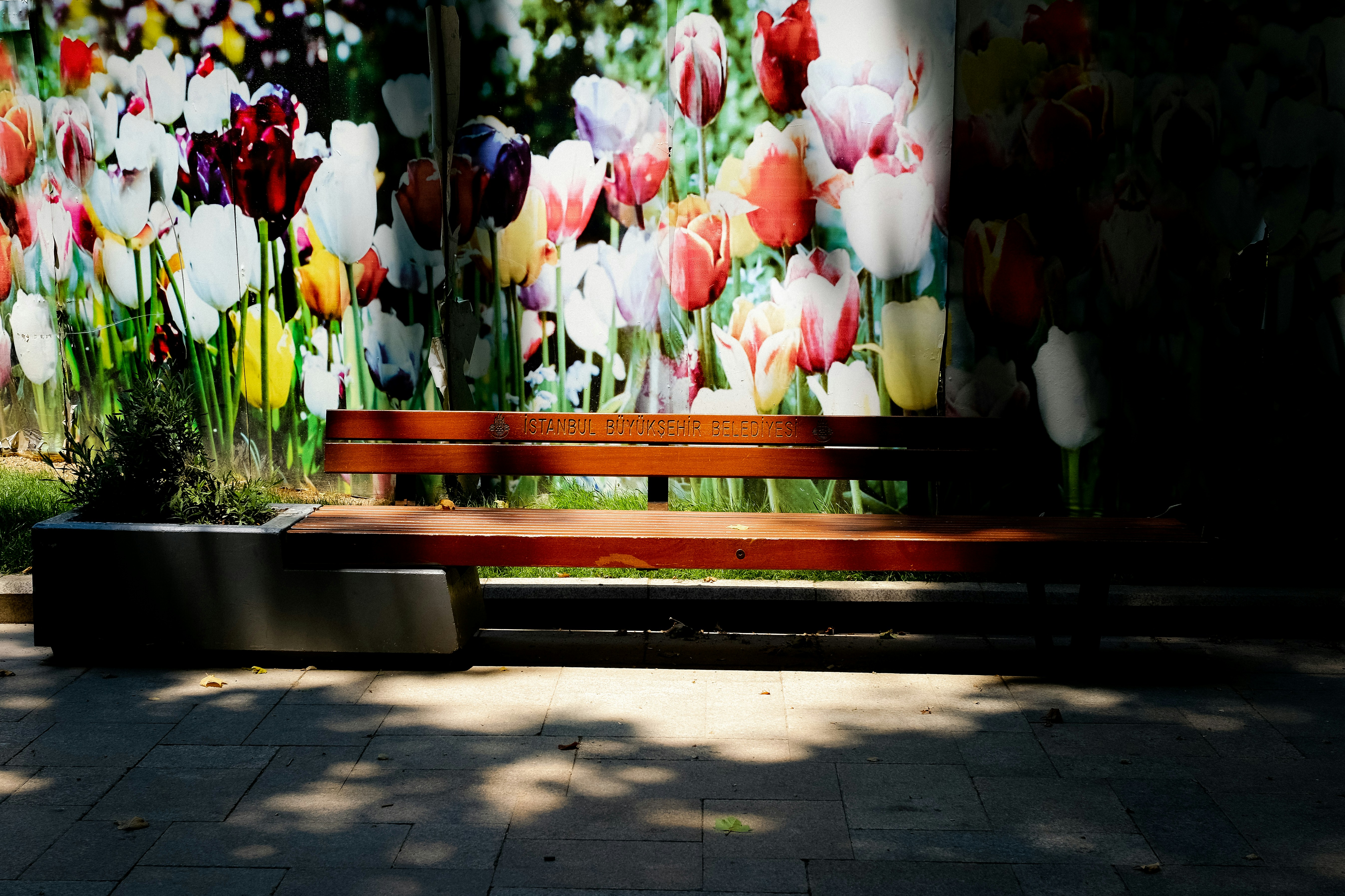 Photo by Mathias Reding with Fujifilm X-T4