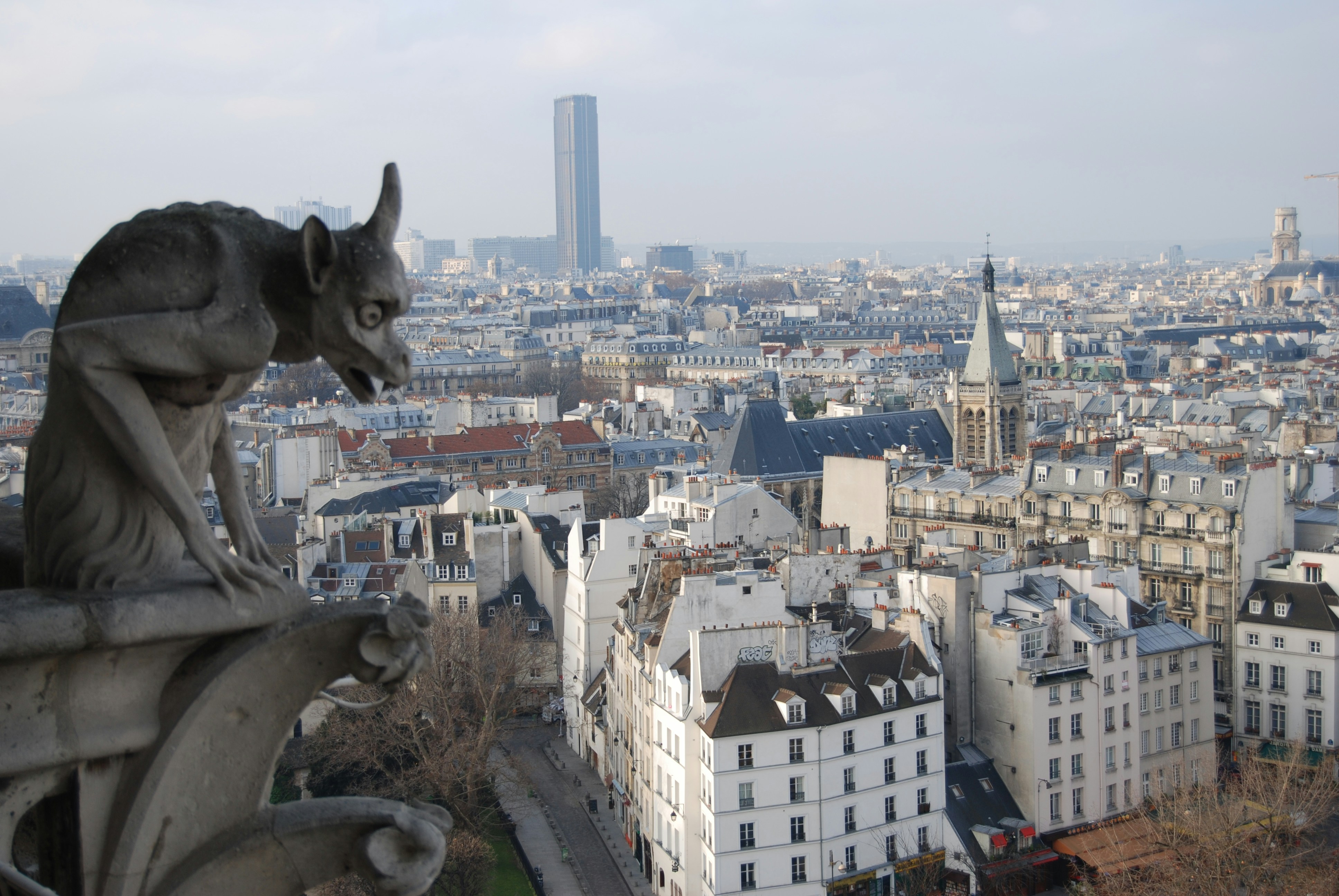 Stone Gargoyle Over a Parisian Rooftop Panorama