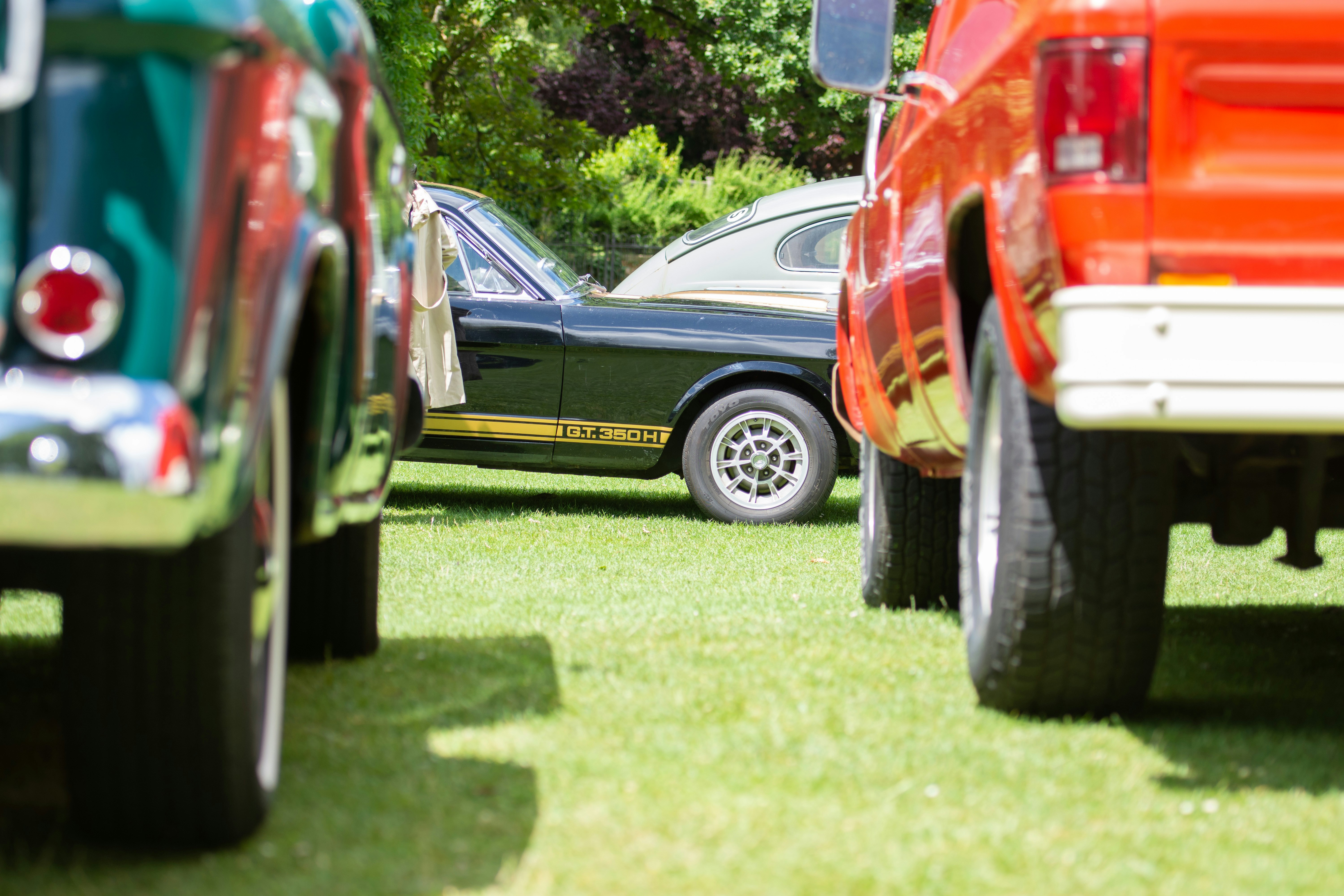 A Quiet Car Show Between Sunlit Hoods