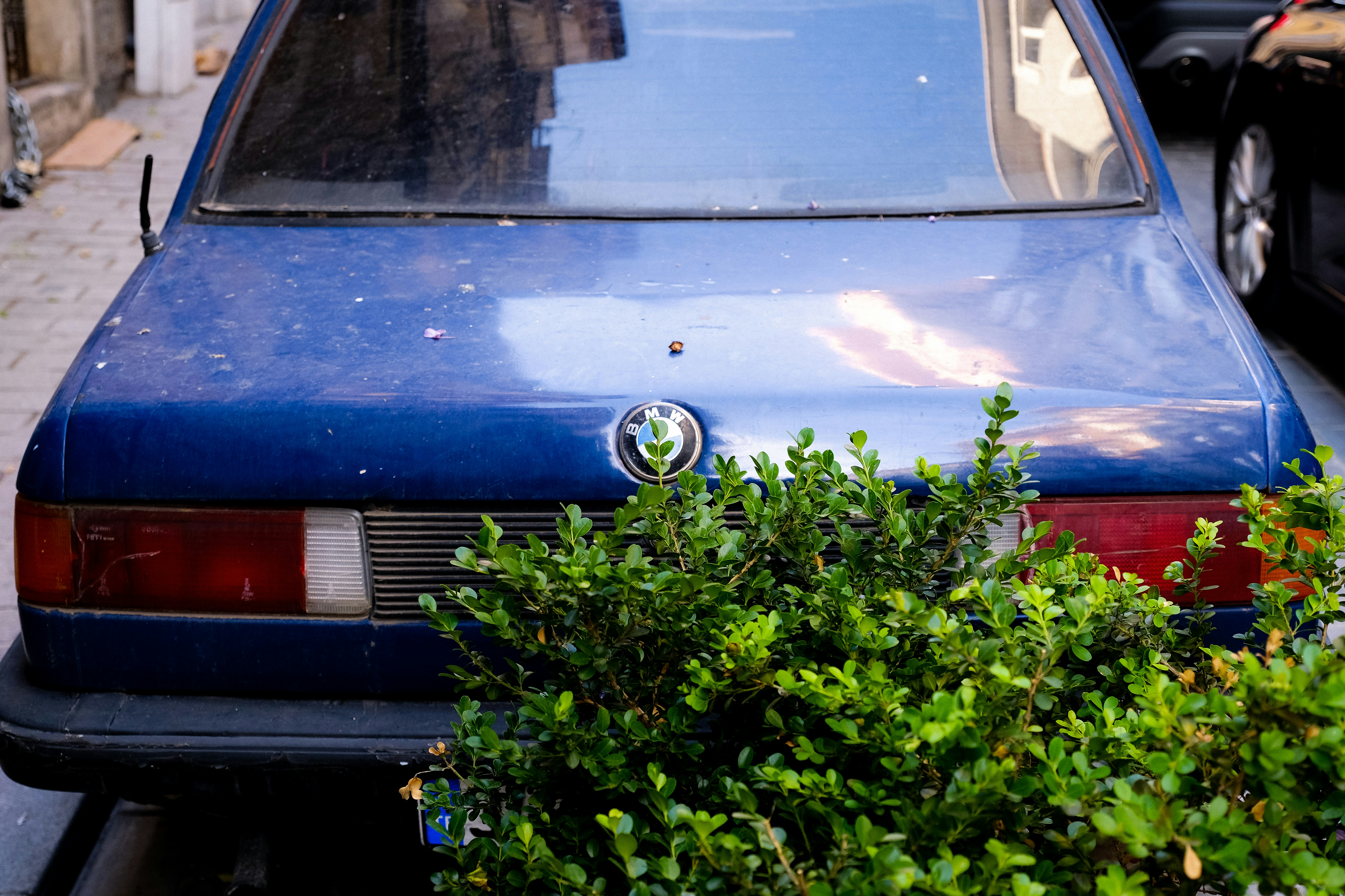 A blue car parked next to a bush photo – Free Beyoğlu/i̇stanbul Image ...