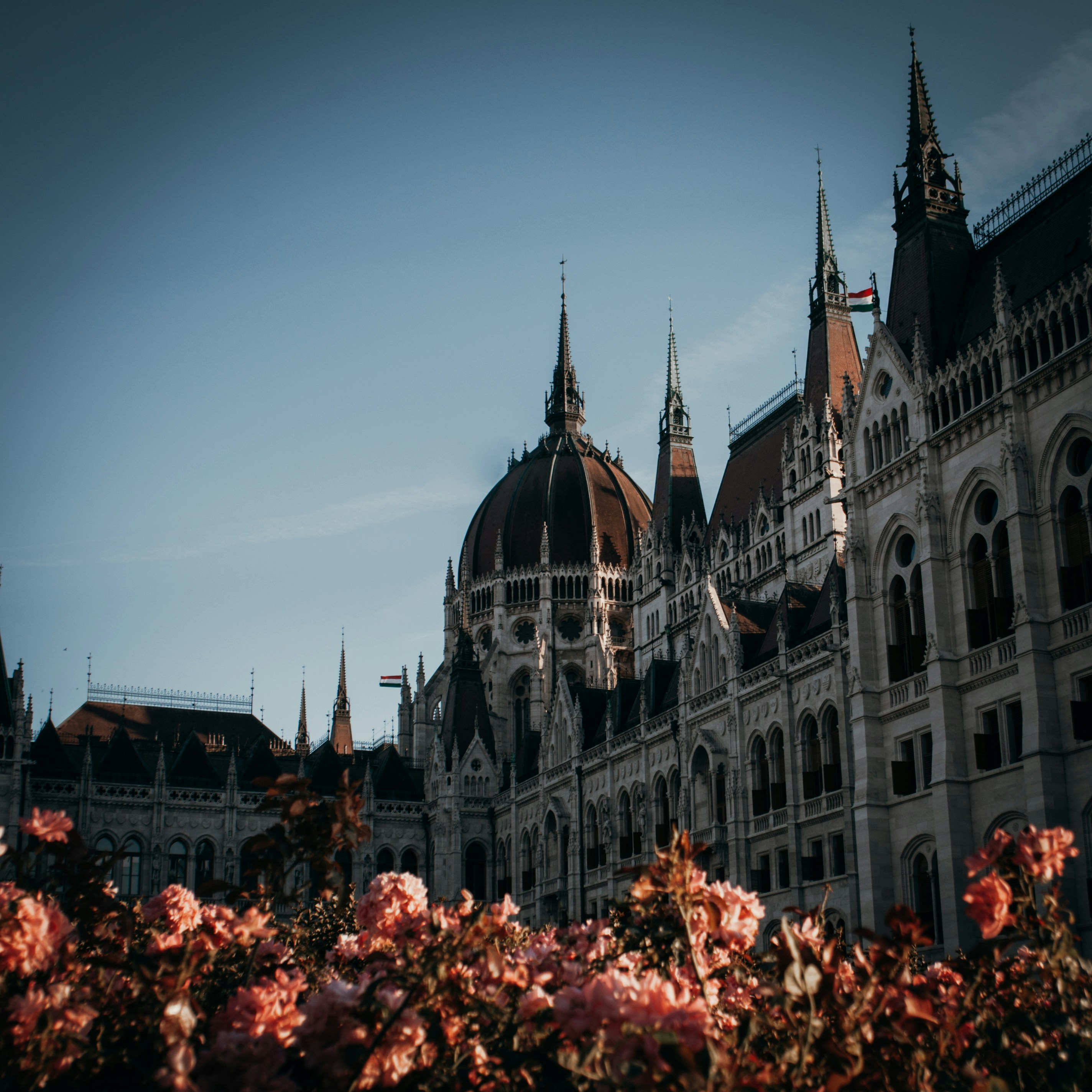 Dome of the Hungarian Parliament Framed by a Burst of Pink Blooms