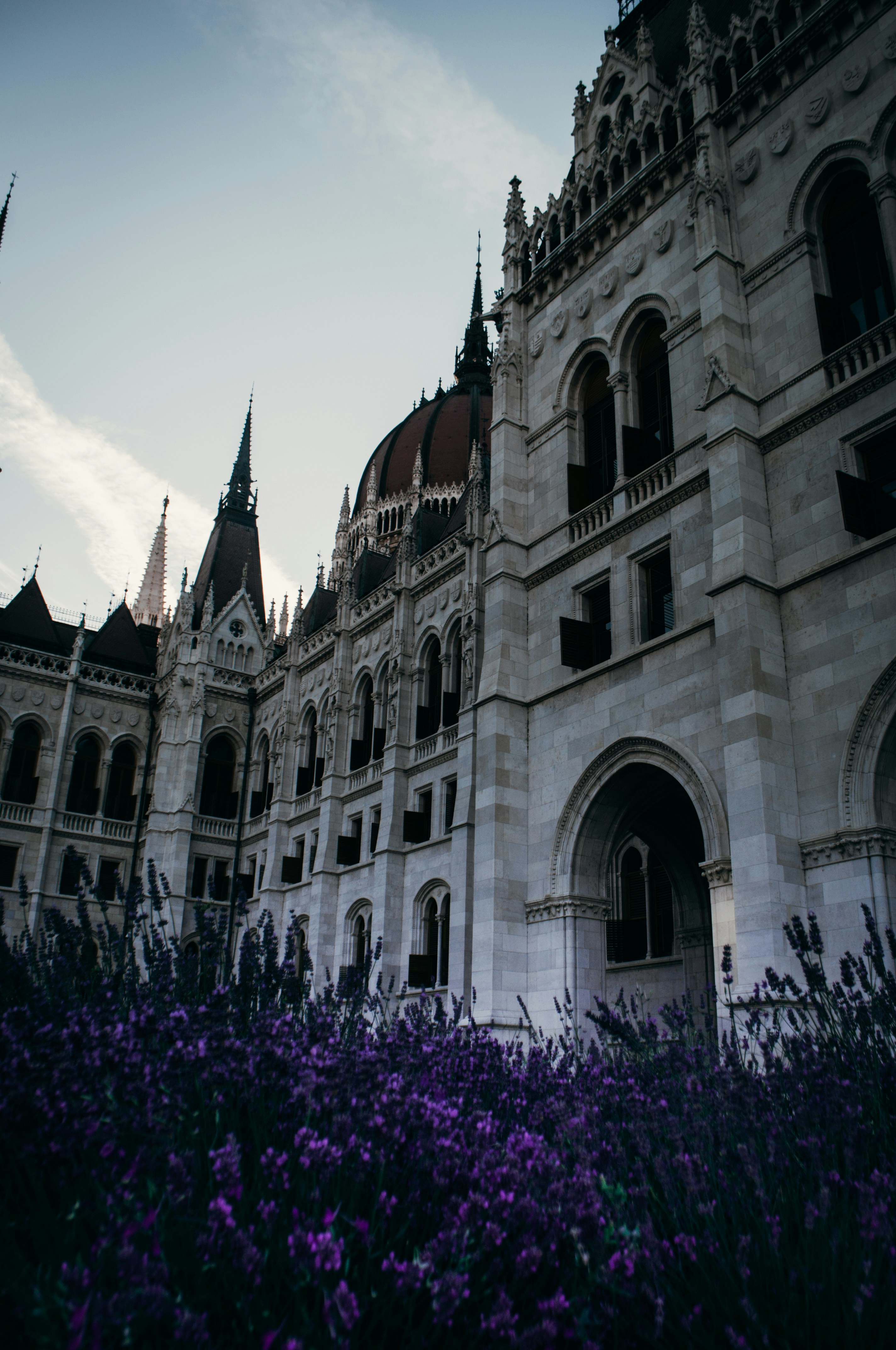 Renaissance Facade Looms Over Lavender Veil