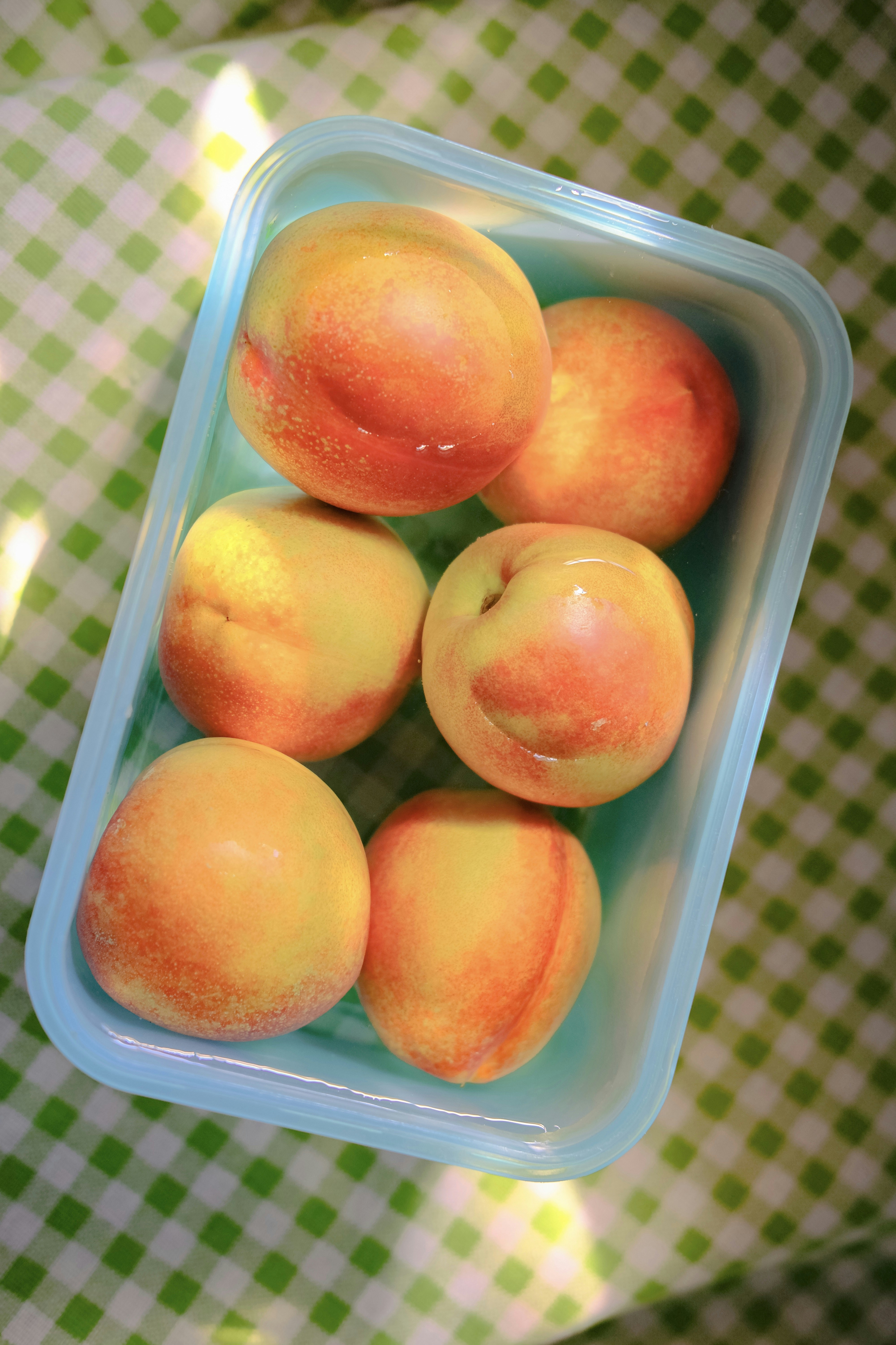 a plastic container with food in it