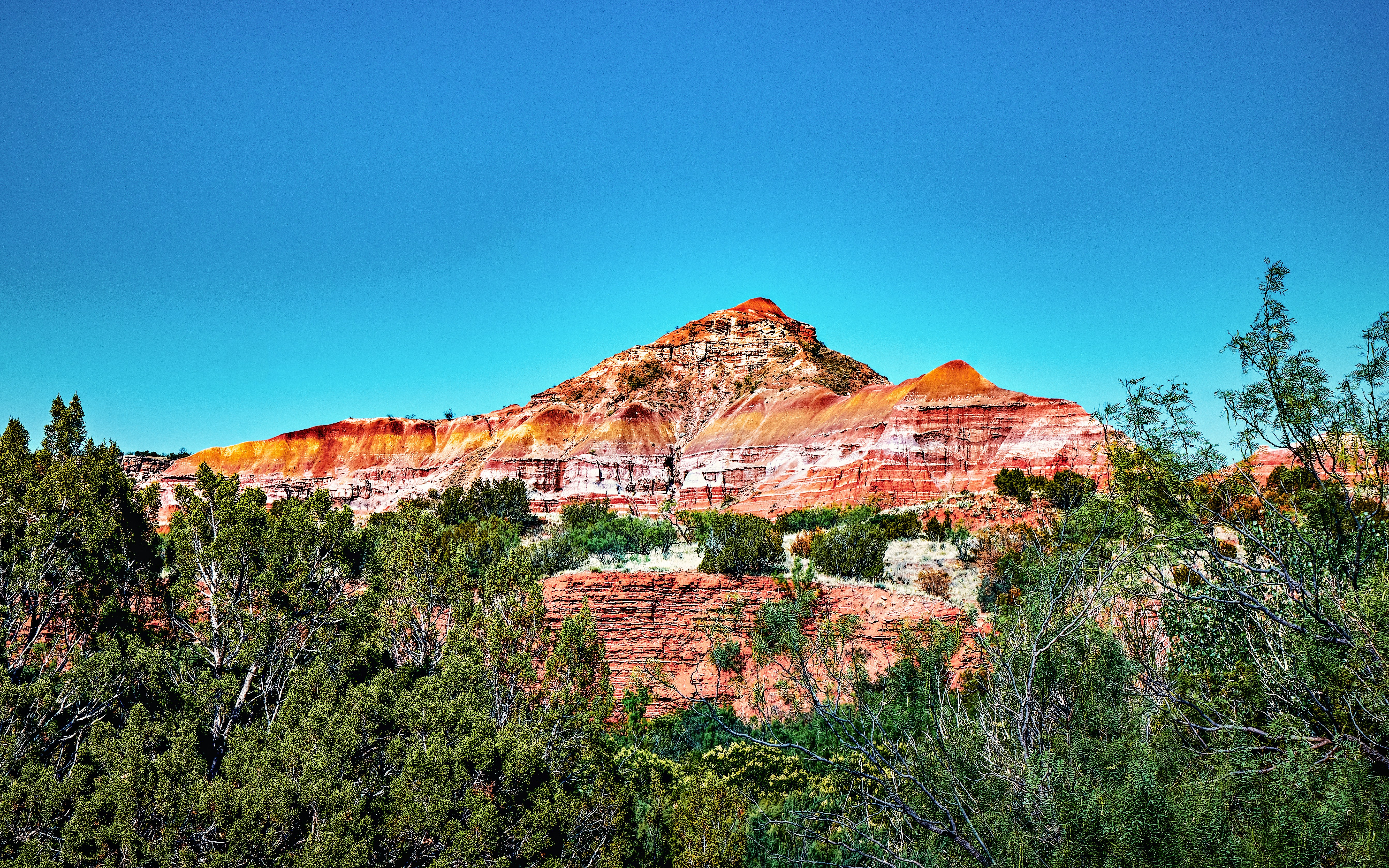 A red rock cliff with trees photo – Free Canyon Image on Unsplash