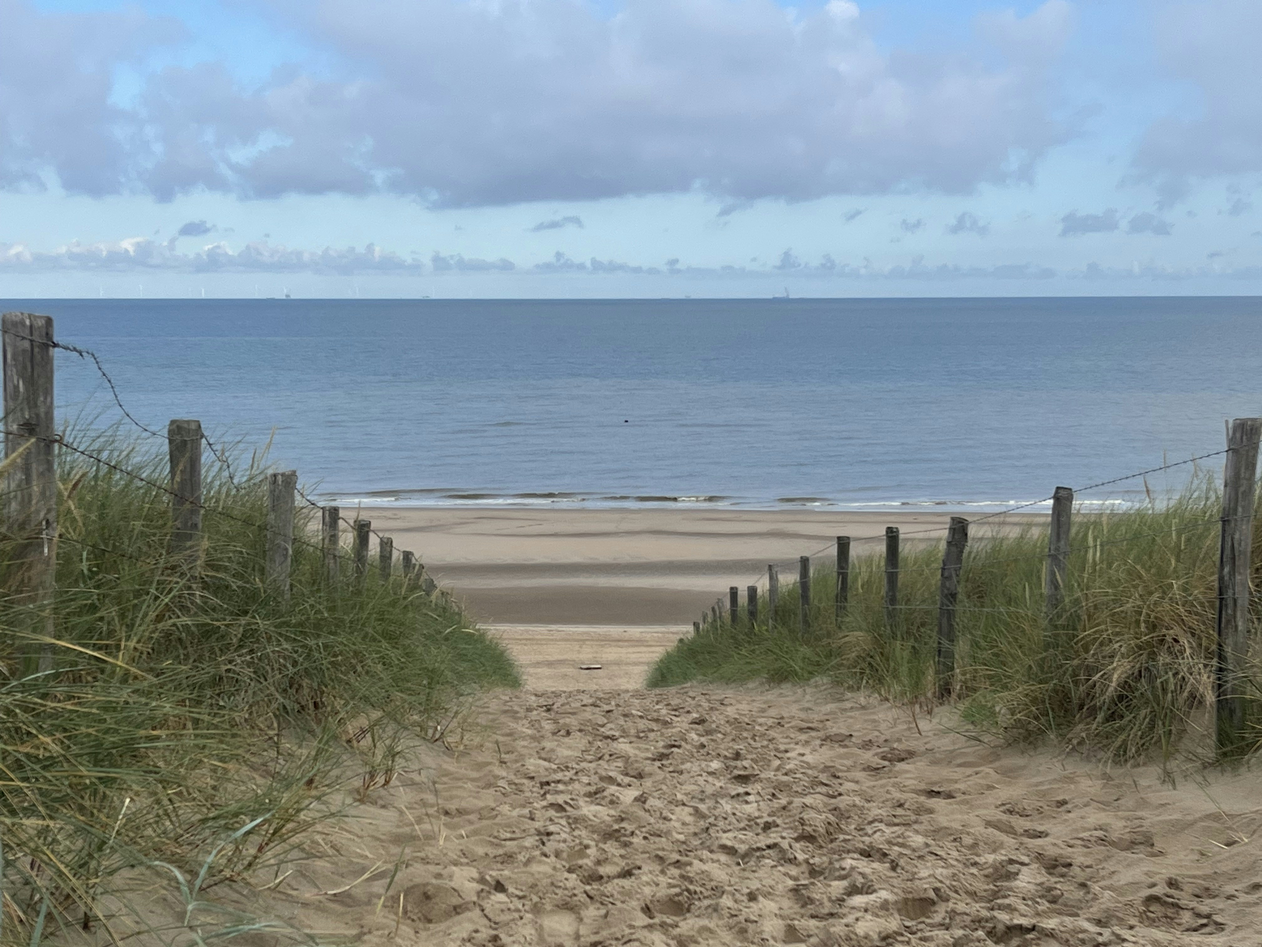 Pathway to Serenity: A Coastal Escape
