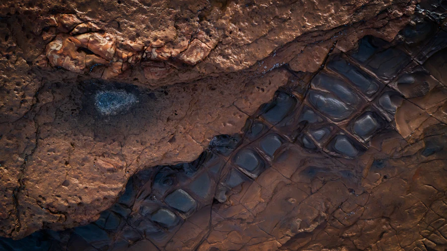 Weathered brown rock surface cut by a dark, glossy vein of segmented mineral or resin. Cracked textures and reflective highlights create an abstract natural pattern.