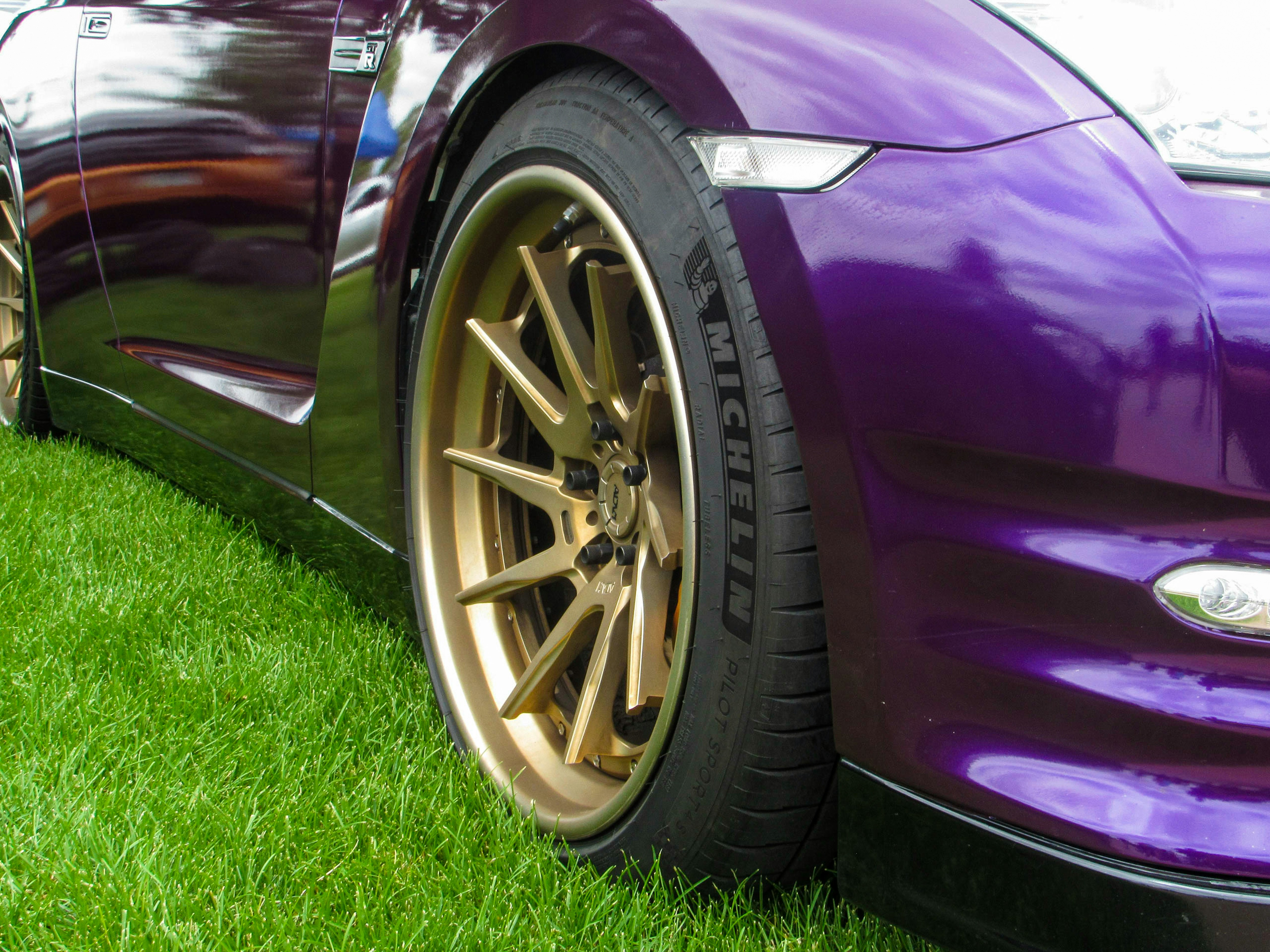 Gilded Wheel Portrait: Violet Coupe on Emerald Grass