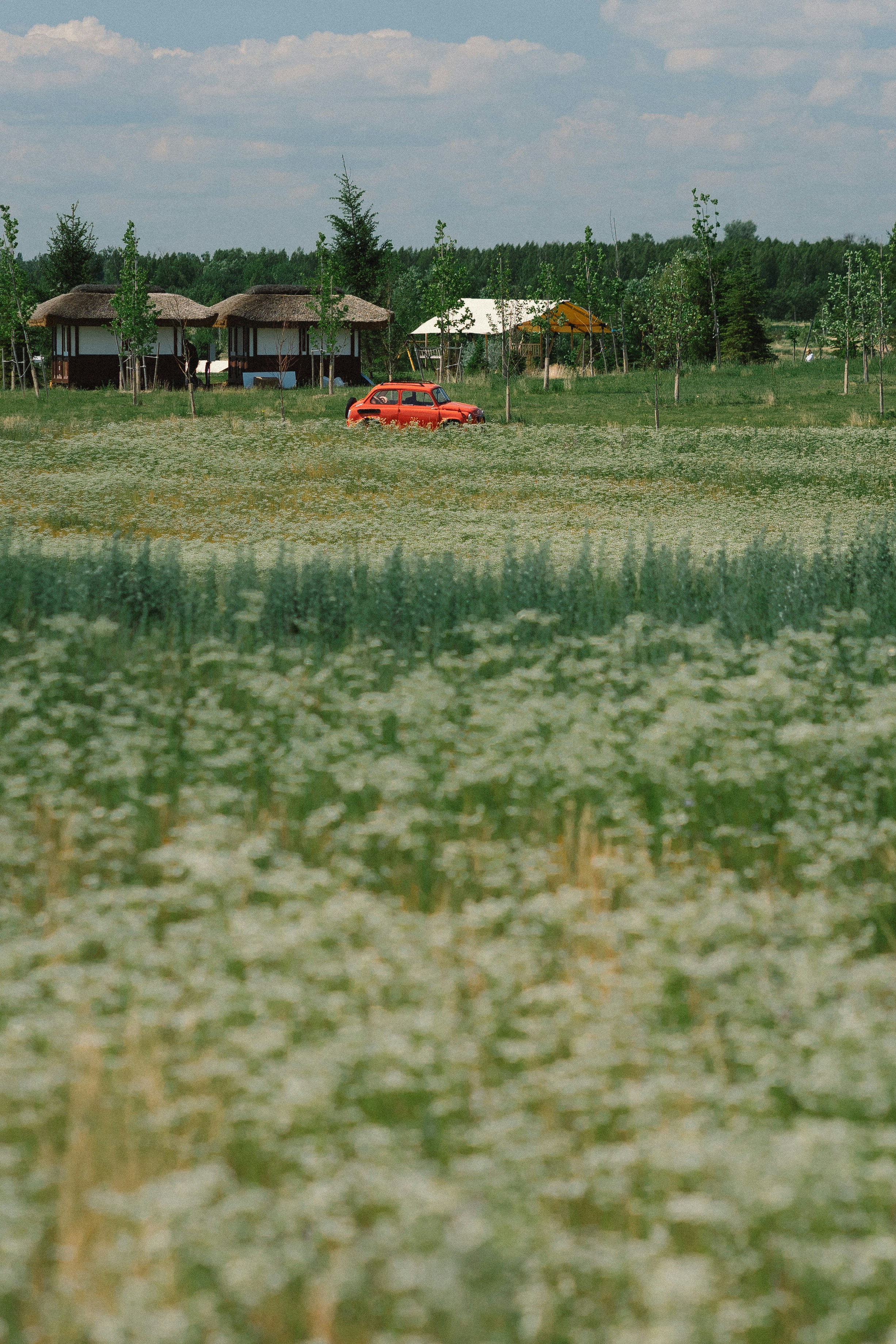 Photo by Eugene Chystiakov with Sony Alpha 7 II