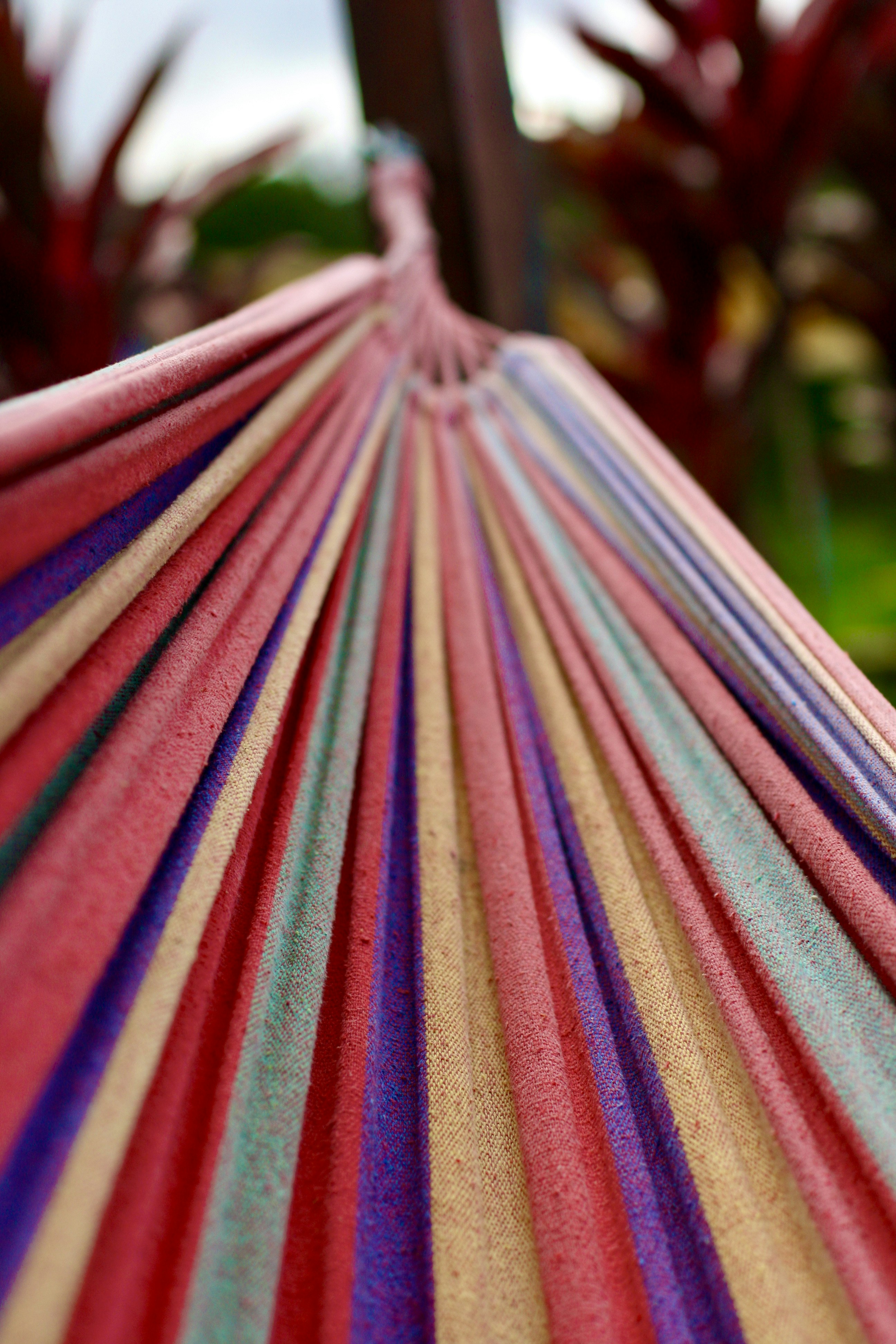 Convergence of Color: A Rainbow Hammock Stretching into a Verdant Backdrop