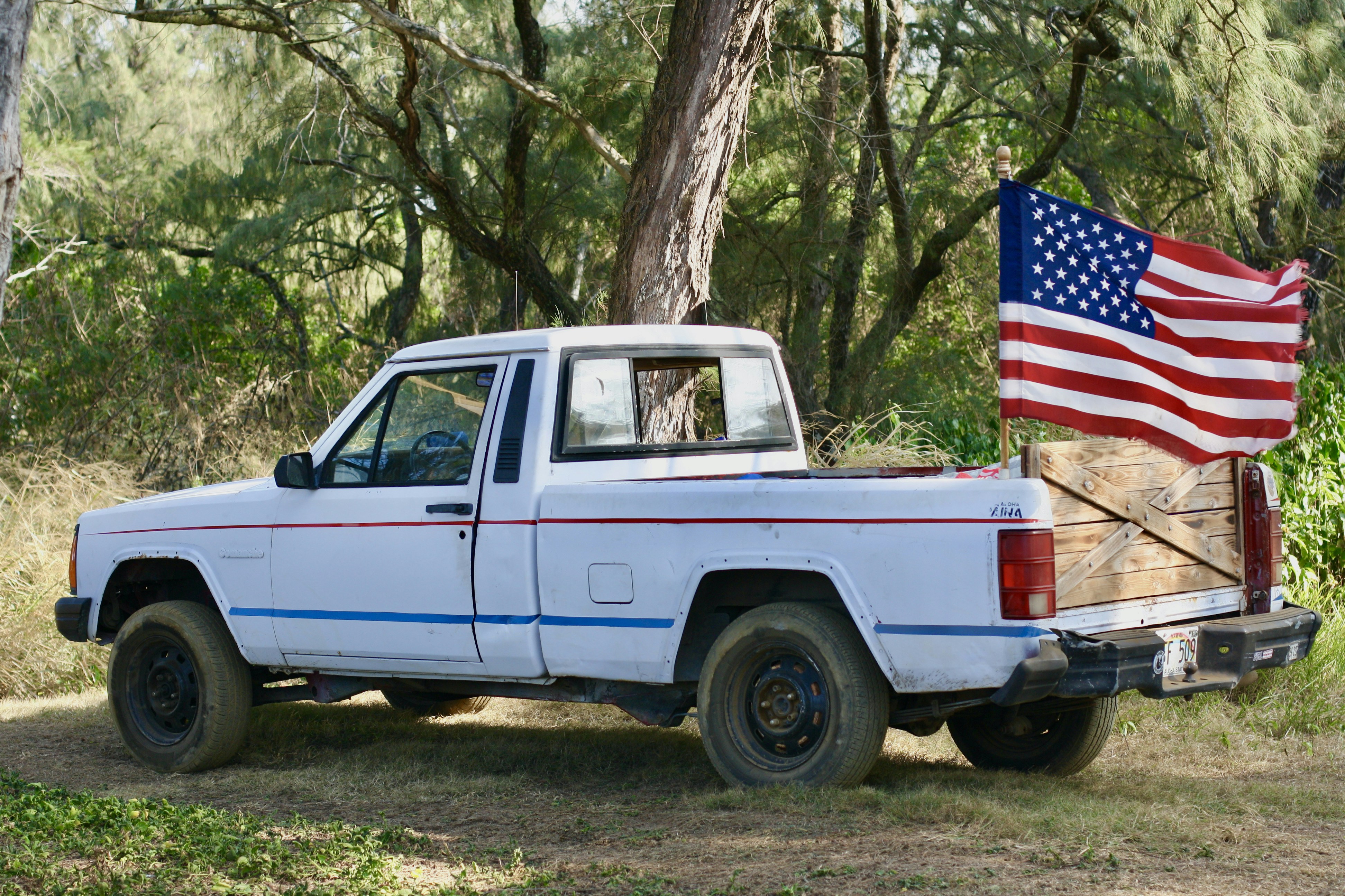 Rustic Patriotism on a Woodland Trail