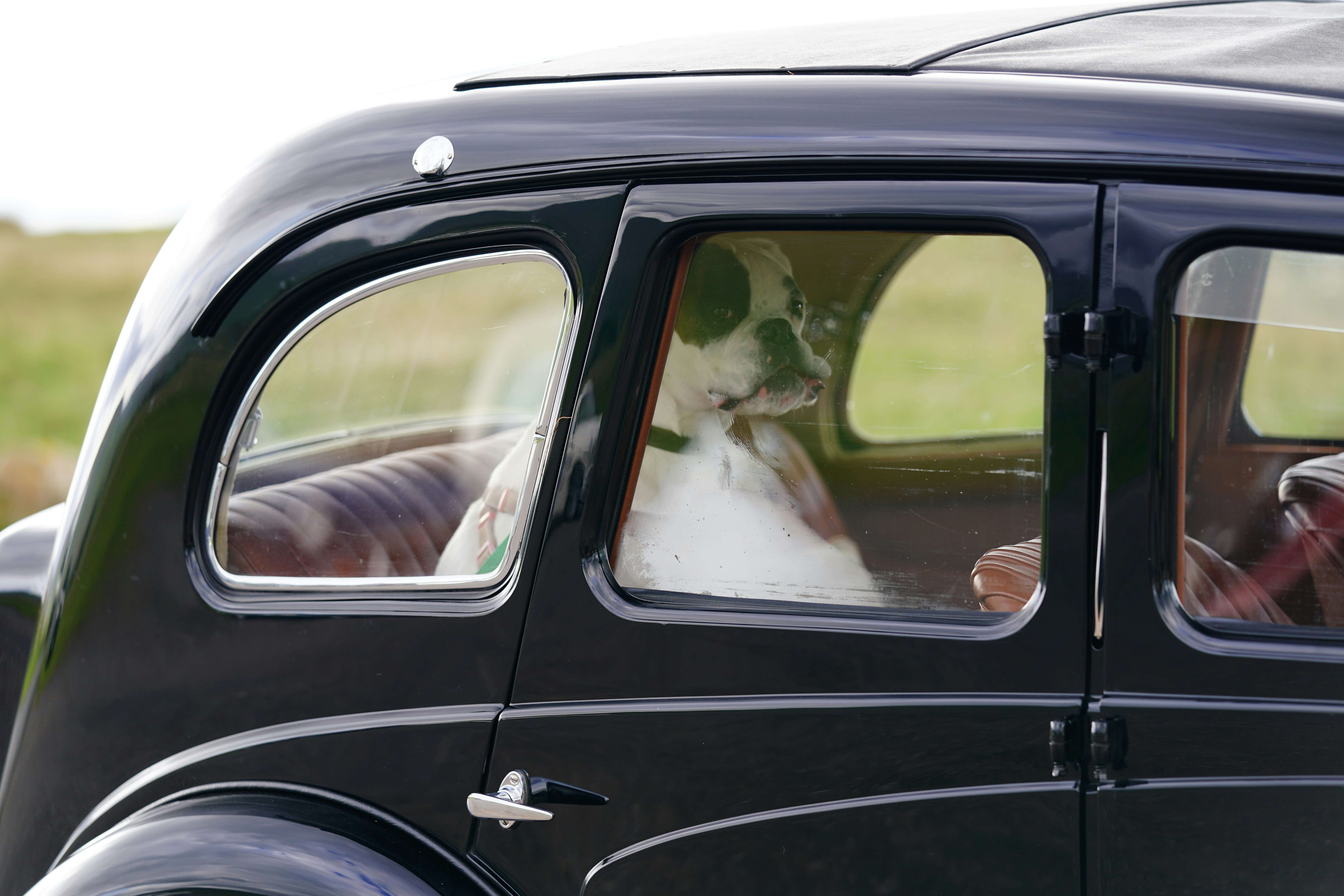 Quiet Conversation Through the Car Window