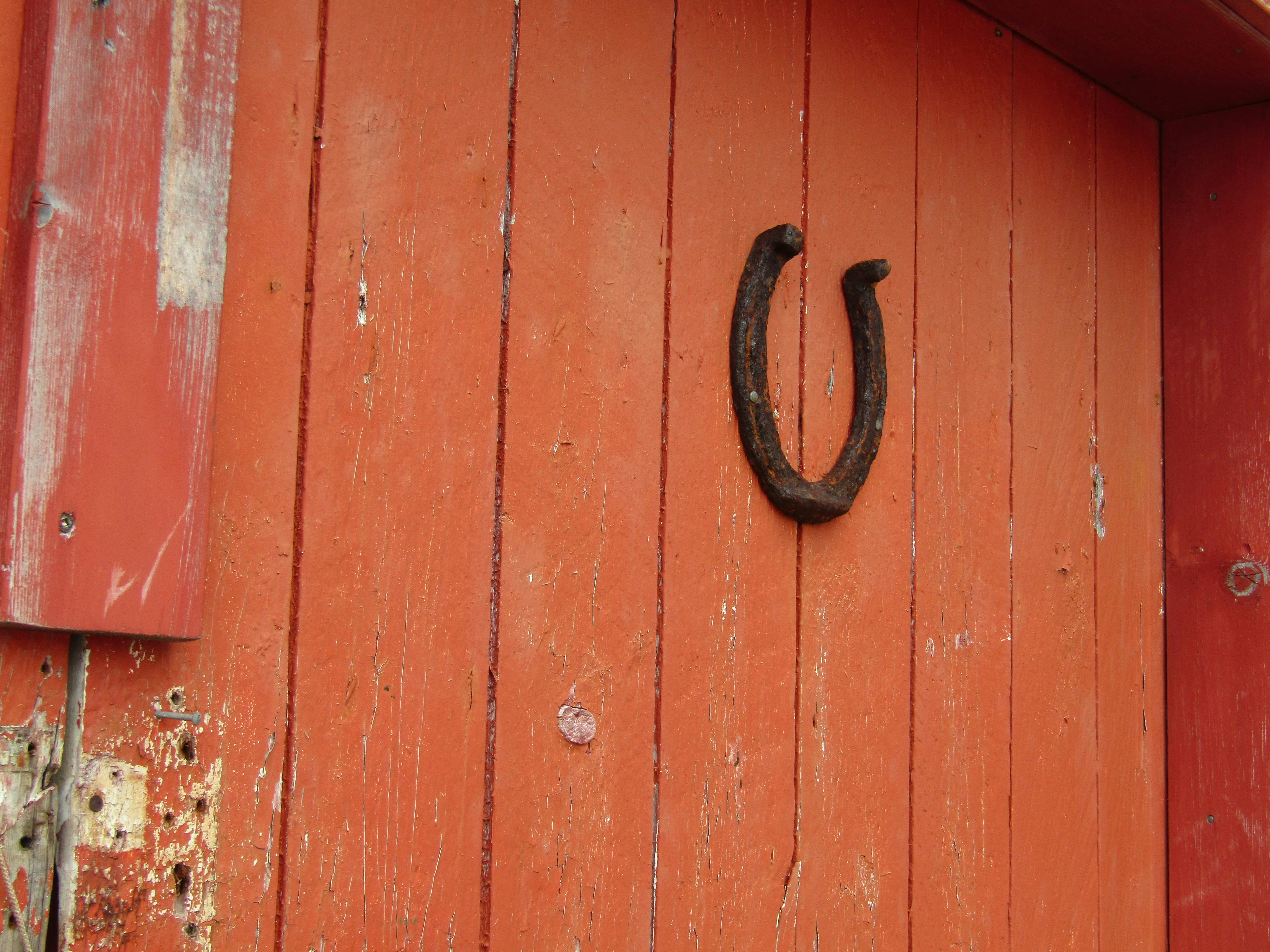 A weathered horseshoe hangs on a vibrant orange wooden door, symbolizing luck and rustic heritage.